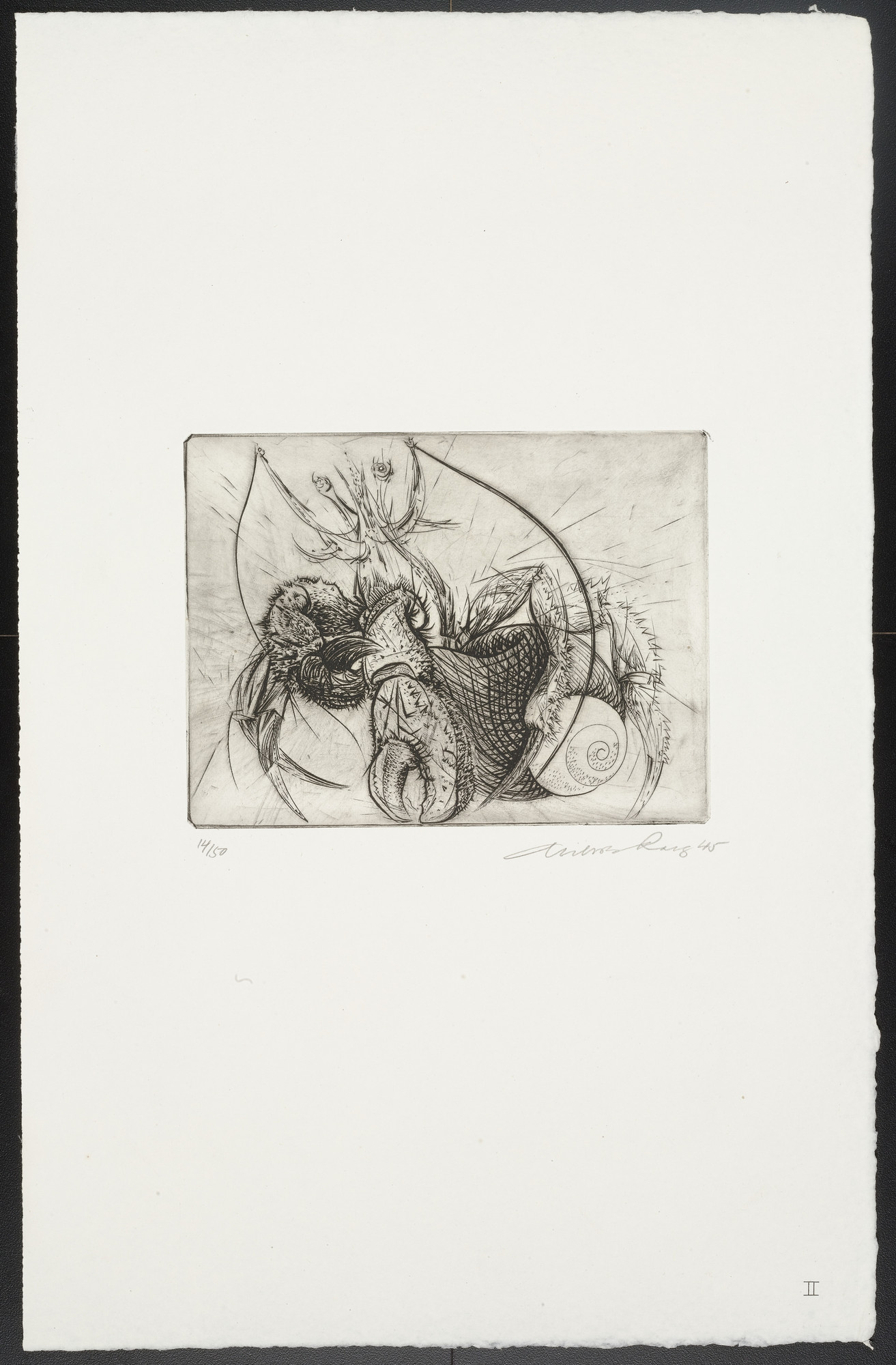 André Racz. II from Reign of Claws. 1945 | MoMA