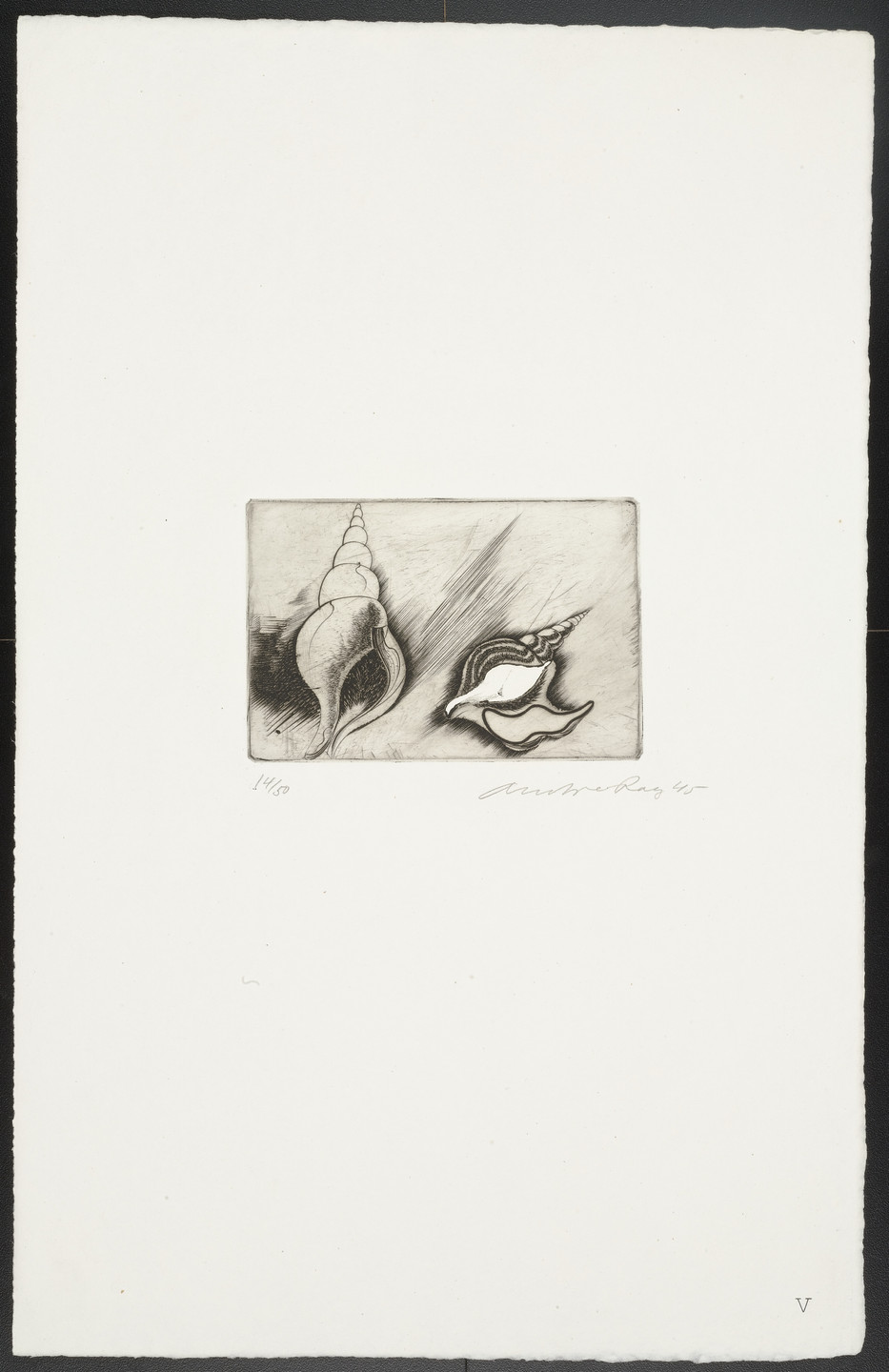 André Racz. V from Reign of Claws. 1945 | MoMA