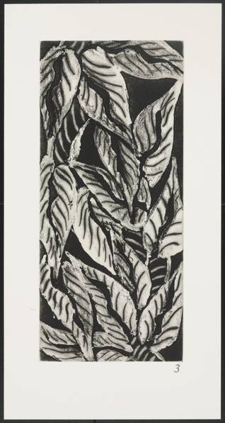 Robert Kushner | MoMA