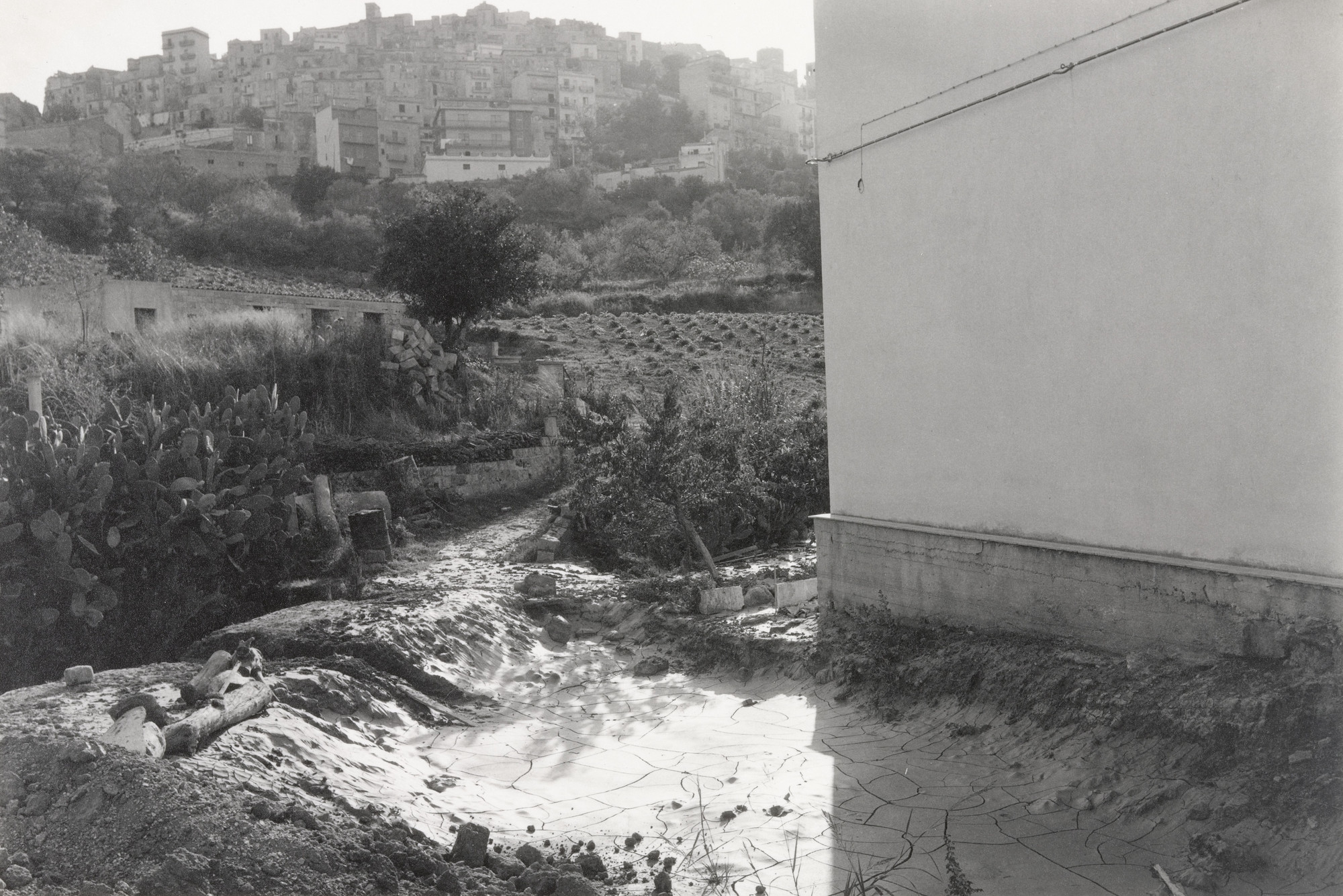 Thomas Roma. Sicily. 1982 | MoMA