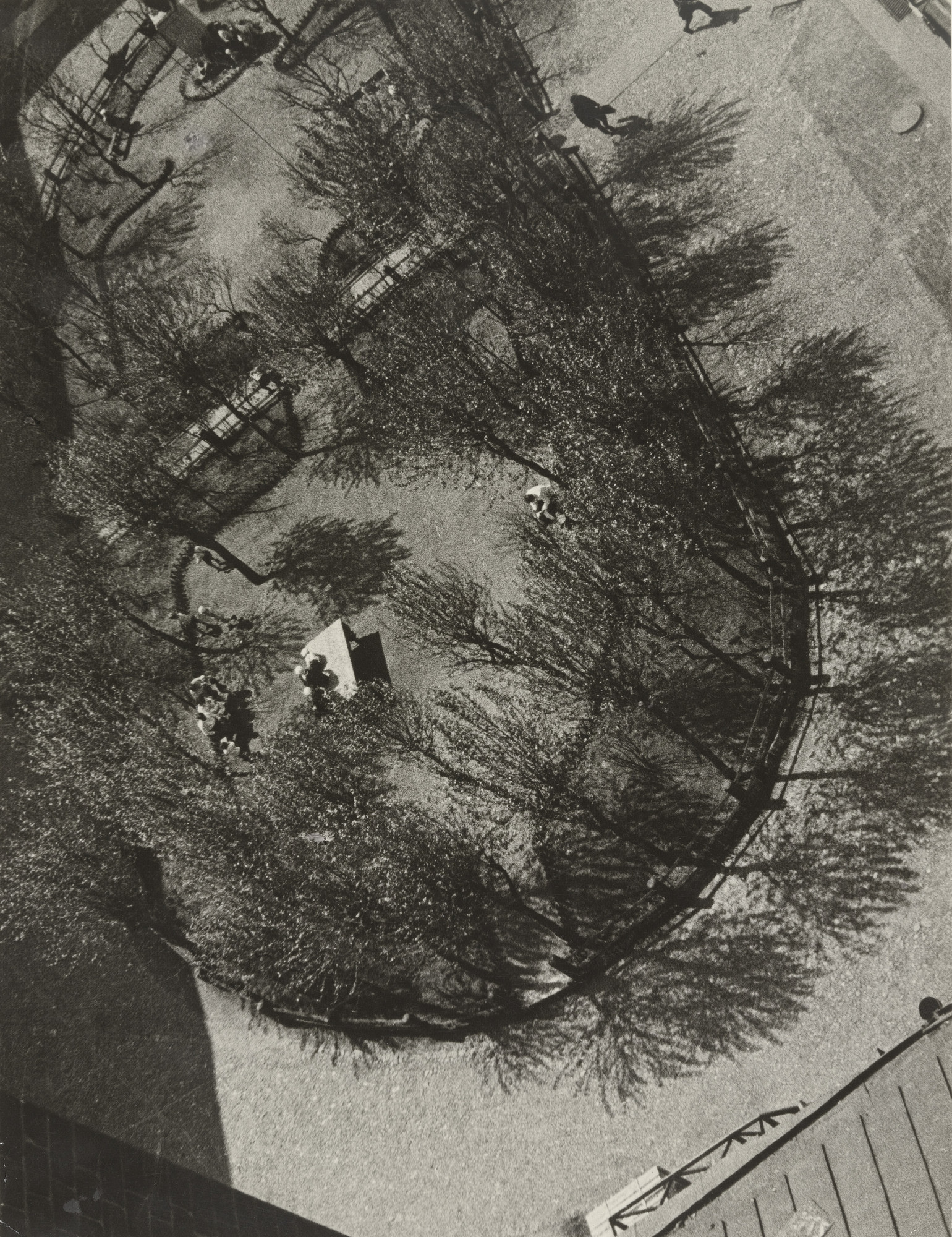 Aleksandr Rodchenko. Untitled. c. 1929 | MoMA