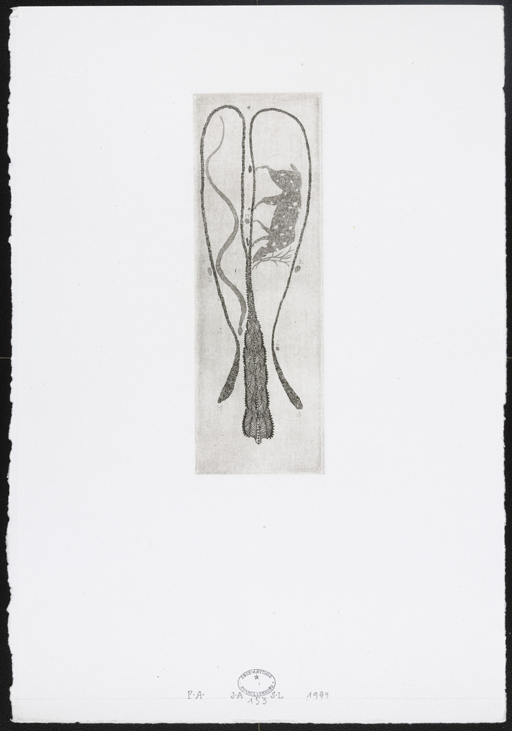 José Antonio Suárez Londoño. Untitled #153. 1997 | MoMA