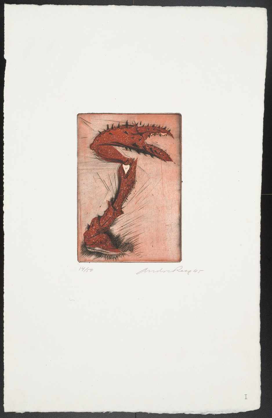 André Racz. I from Reign of Claws. 1945 | MoMA