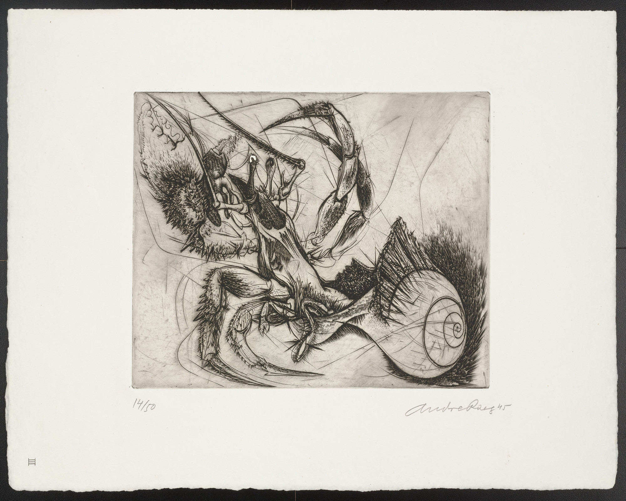 André Racz. III from Reign of Claws. 1945 | MoMA