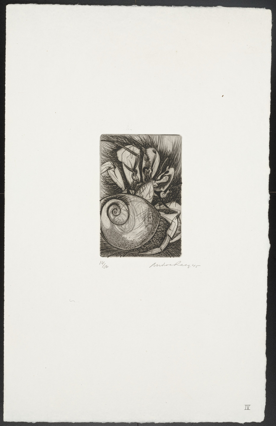 André Racz. IV from Reign of Claws. 1945 | MoMA