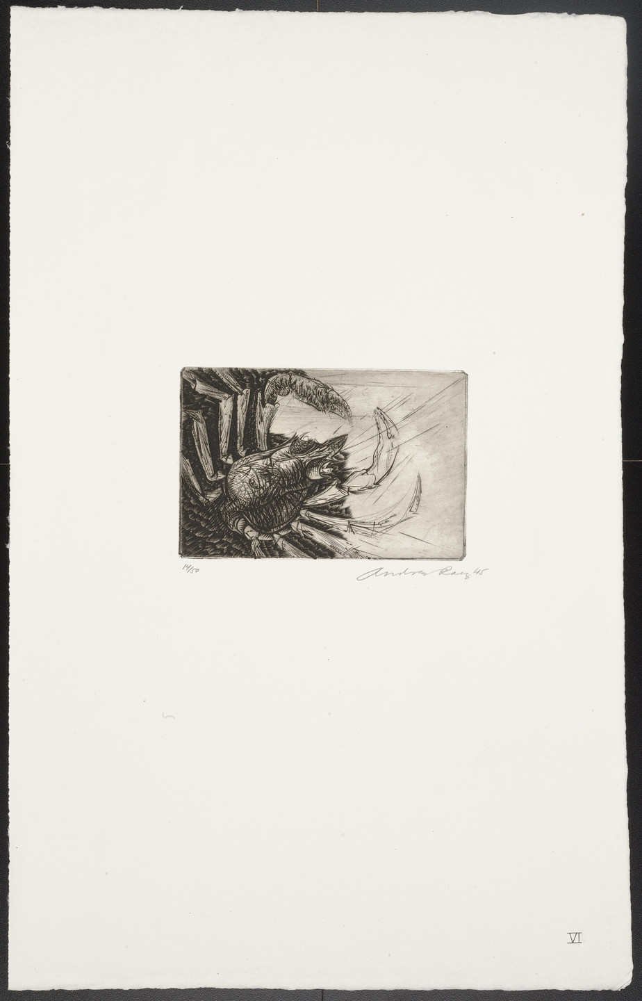 André Racz. VI from Reign of Claws. 1945 | MoMA