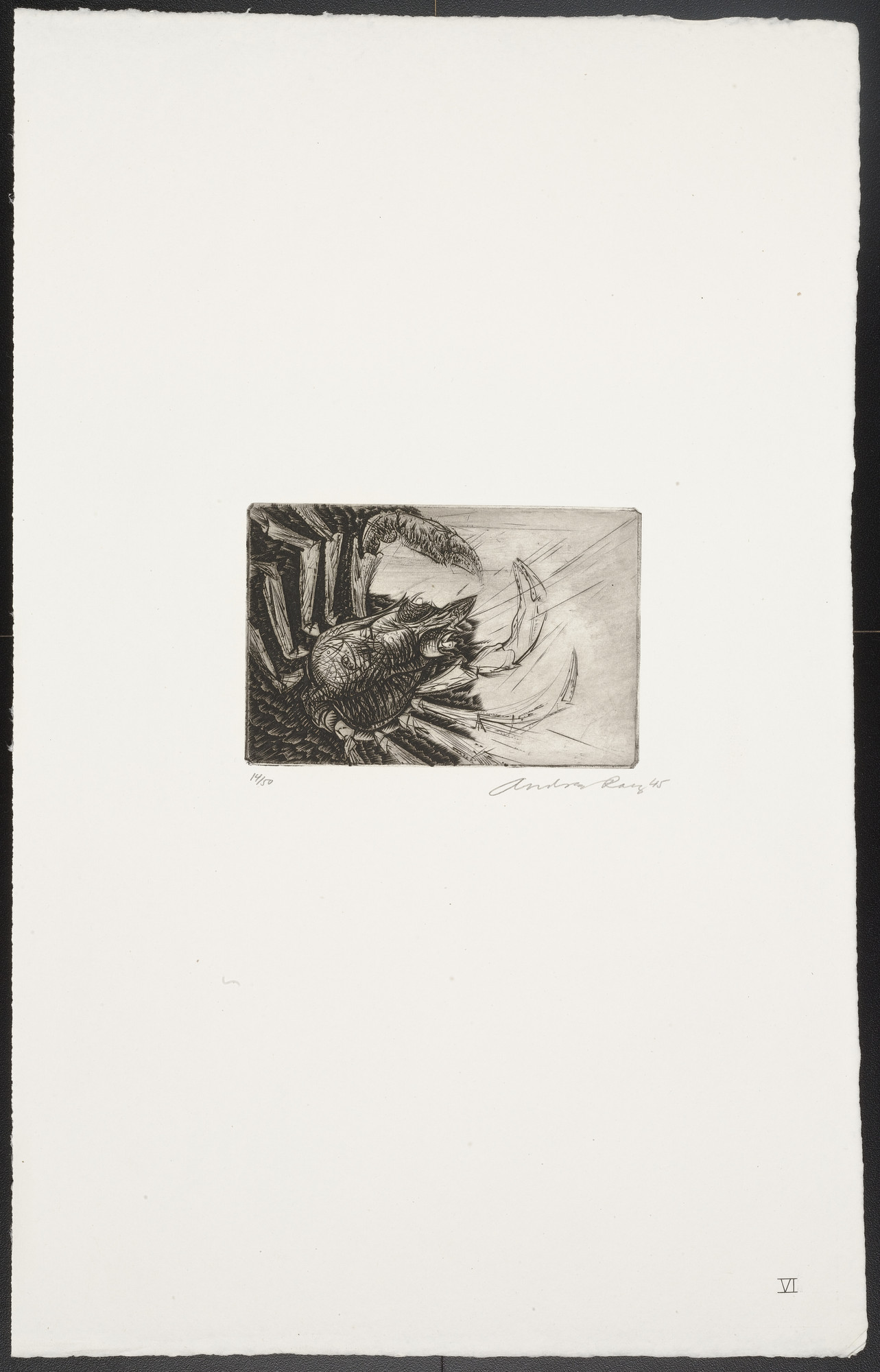 André Racz. VI from Reign of Claws. 1945 | MoMA