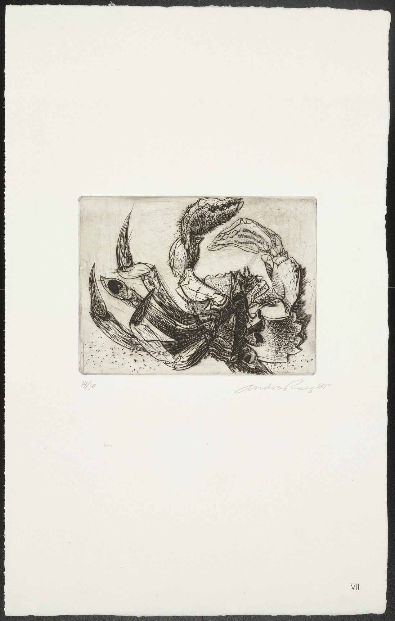André Racz. VII from Reign of Claws. 1945 | MoMA