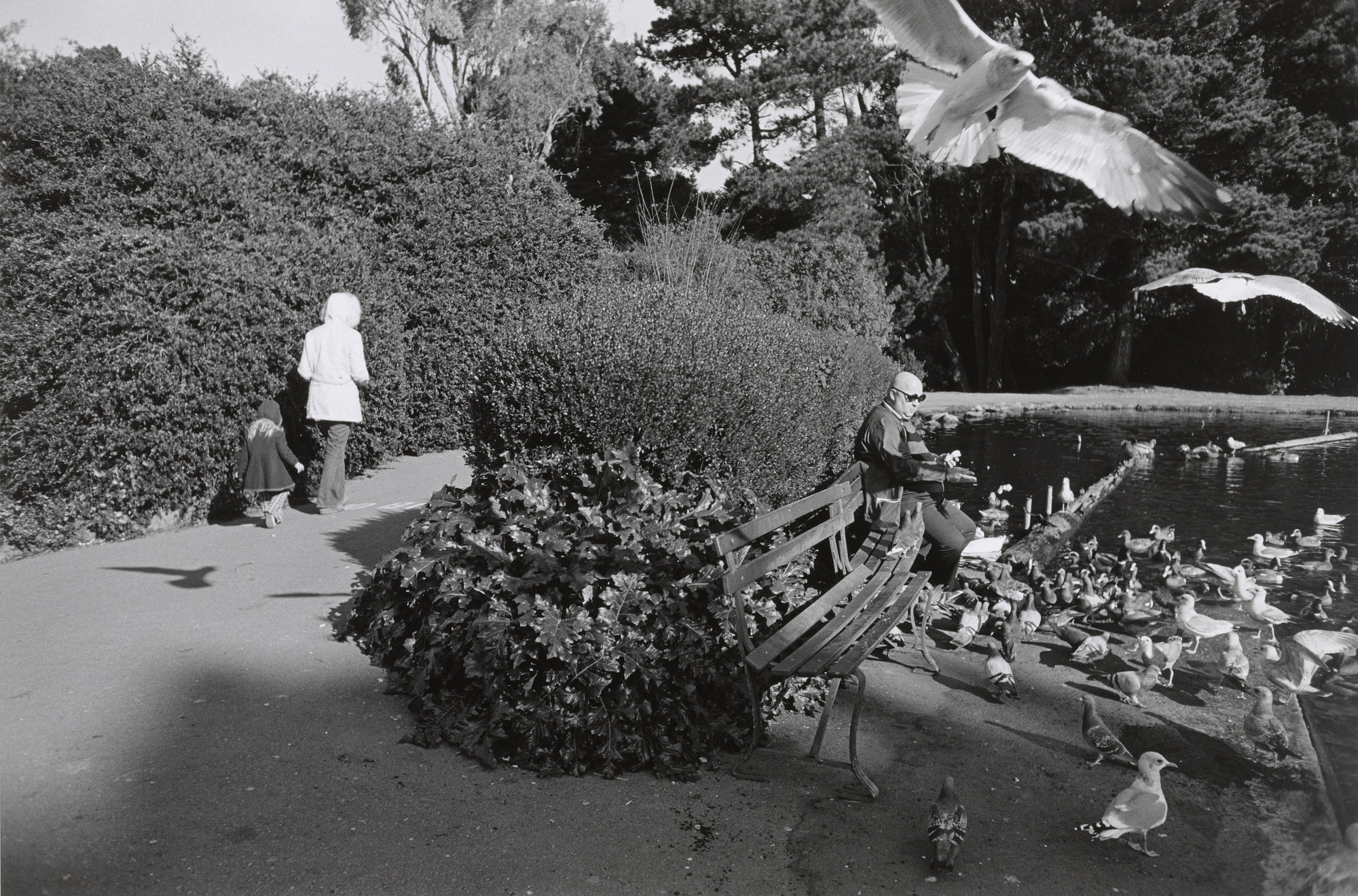 Henry Wessel, Jr.. Untitled. 1976 | MoMA