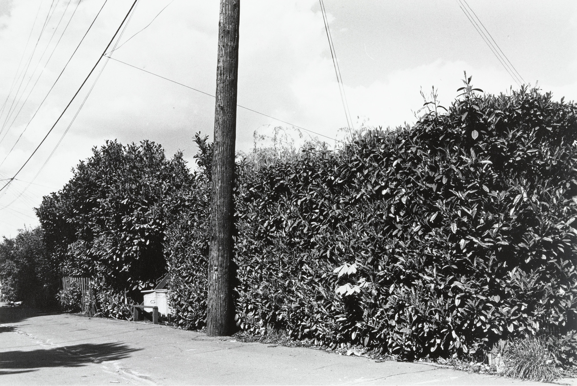 Henry Wessel, Jr. | MoMA