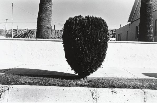 Henry Wessel, Jr. | MoMA