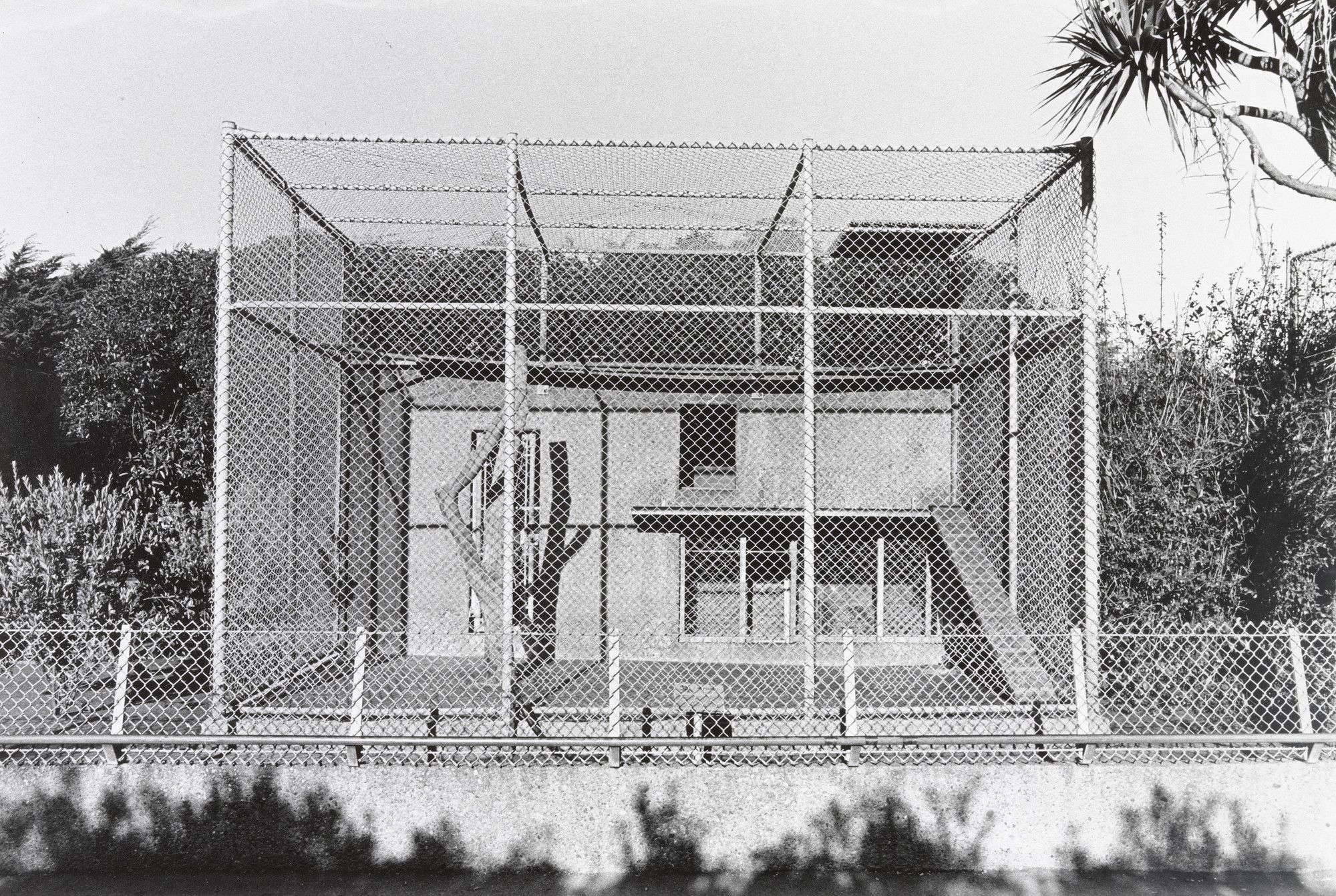 Henry Wessel, Jr.. San Francisco, California. 1972 | MoMA