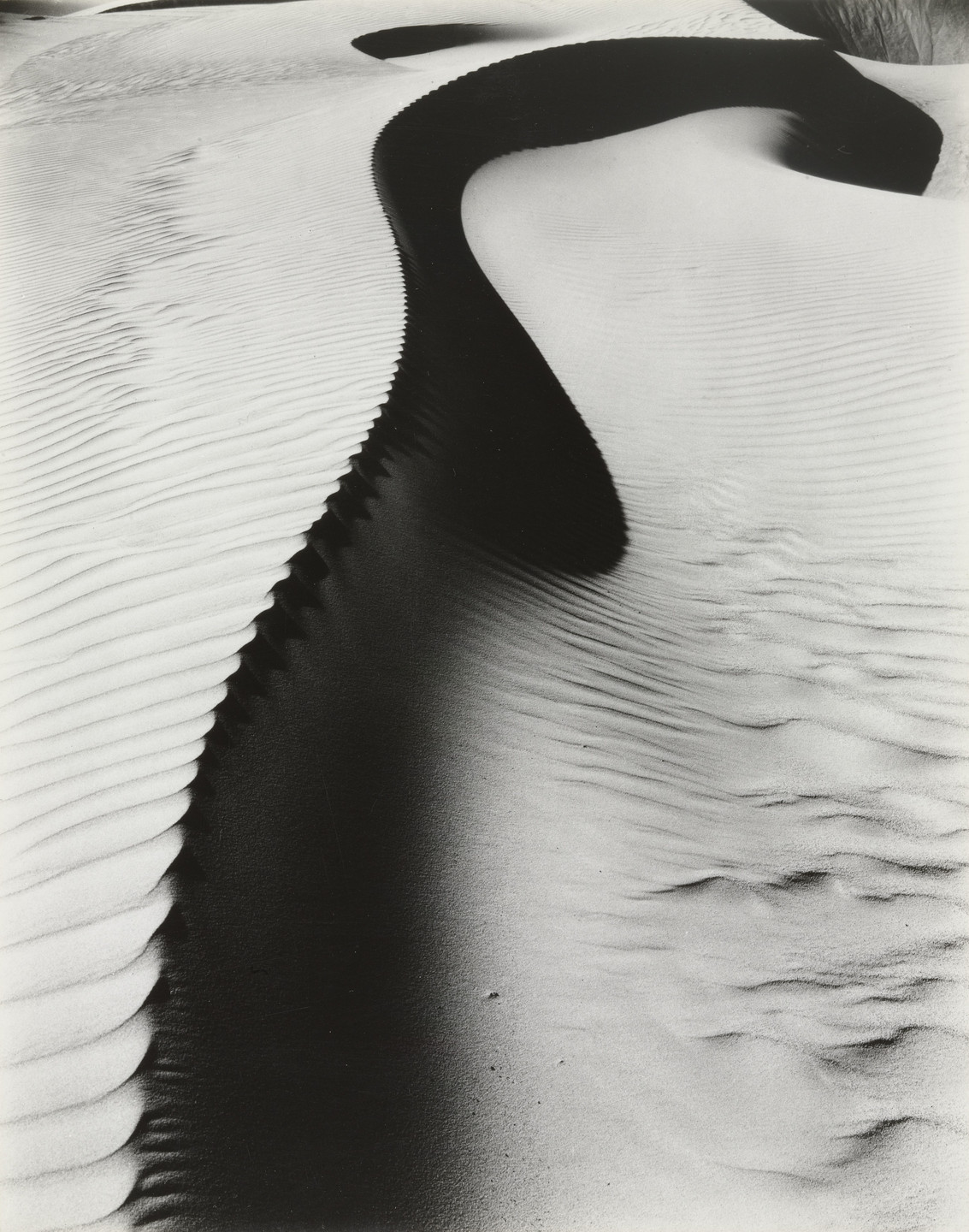 Brett Weston. Sand Dune 2. 1938 | MoMA