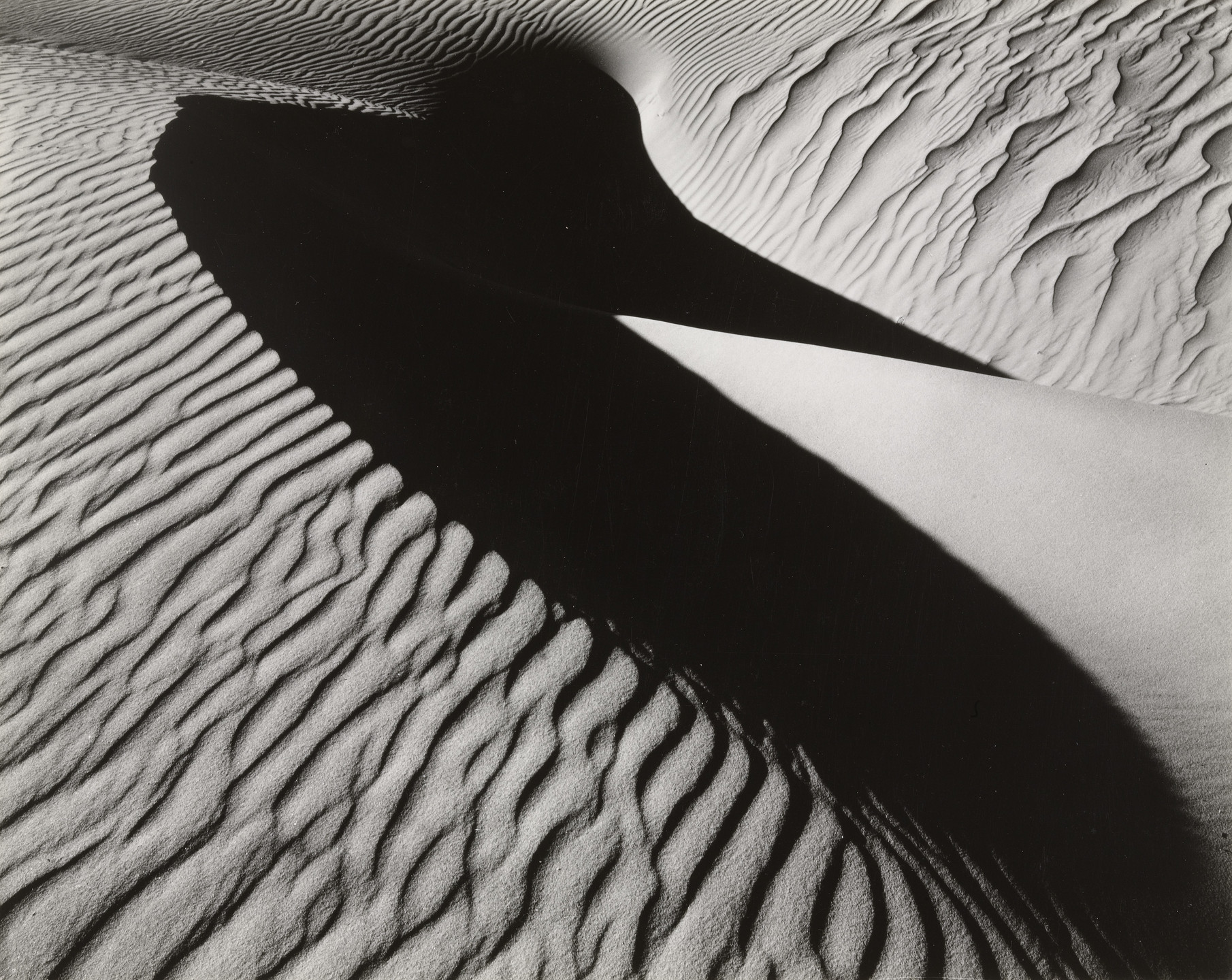 Brett Weston. Sand Dune 4. 1934 | MoMA