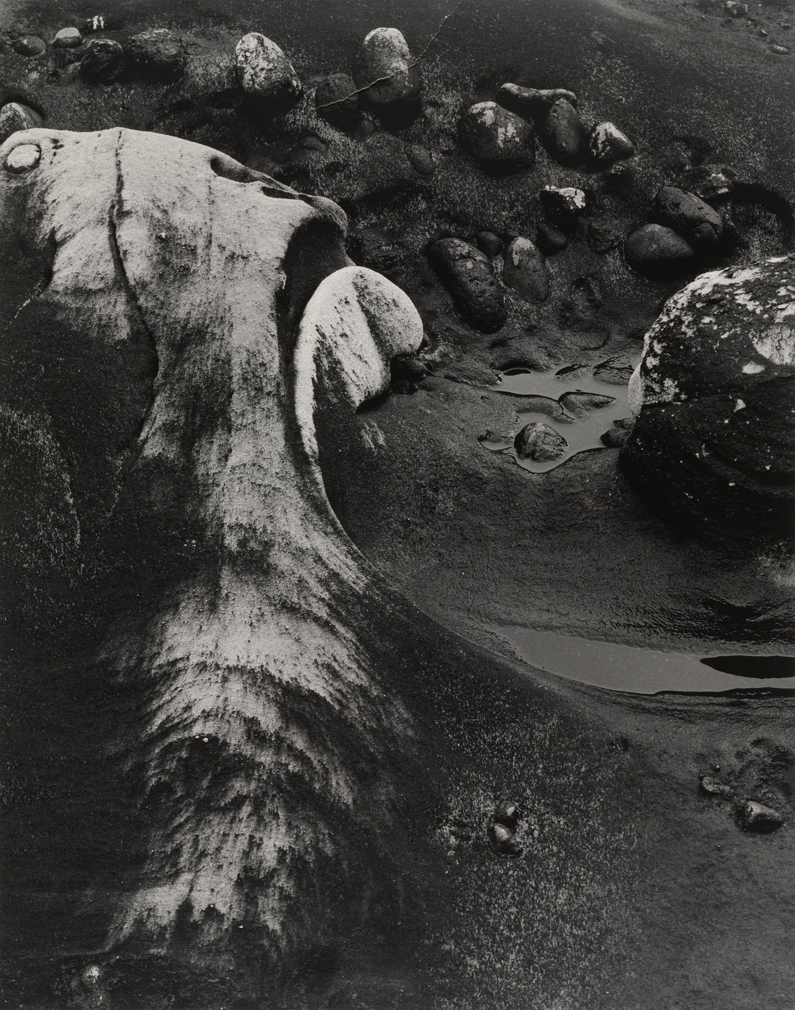 Minor White. Sandstone Lobos, "Returning Wave". 1950 | MoMA