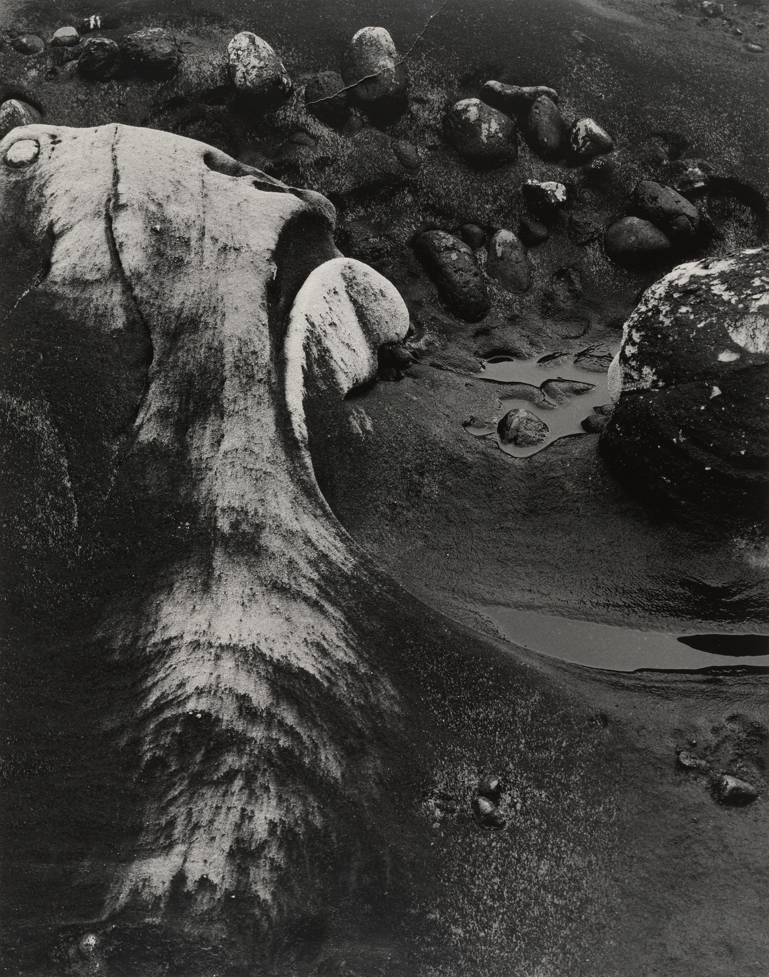 Minor White. Sandstone Lobos, "Returning Wave". 1950 | MoMA
