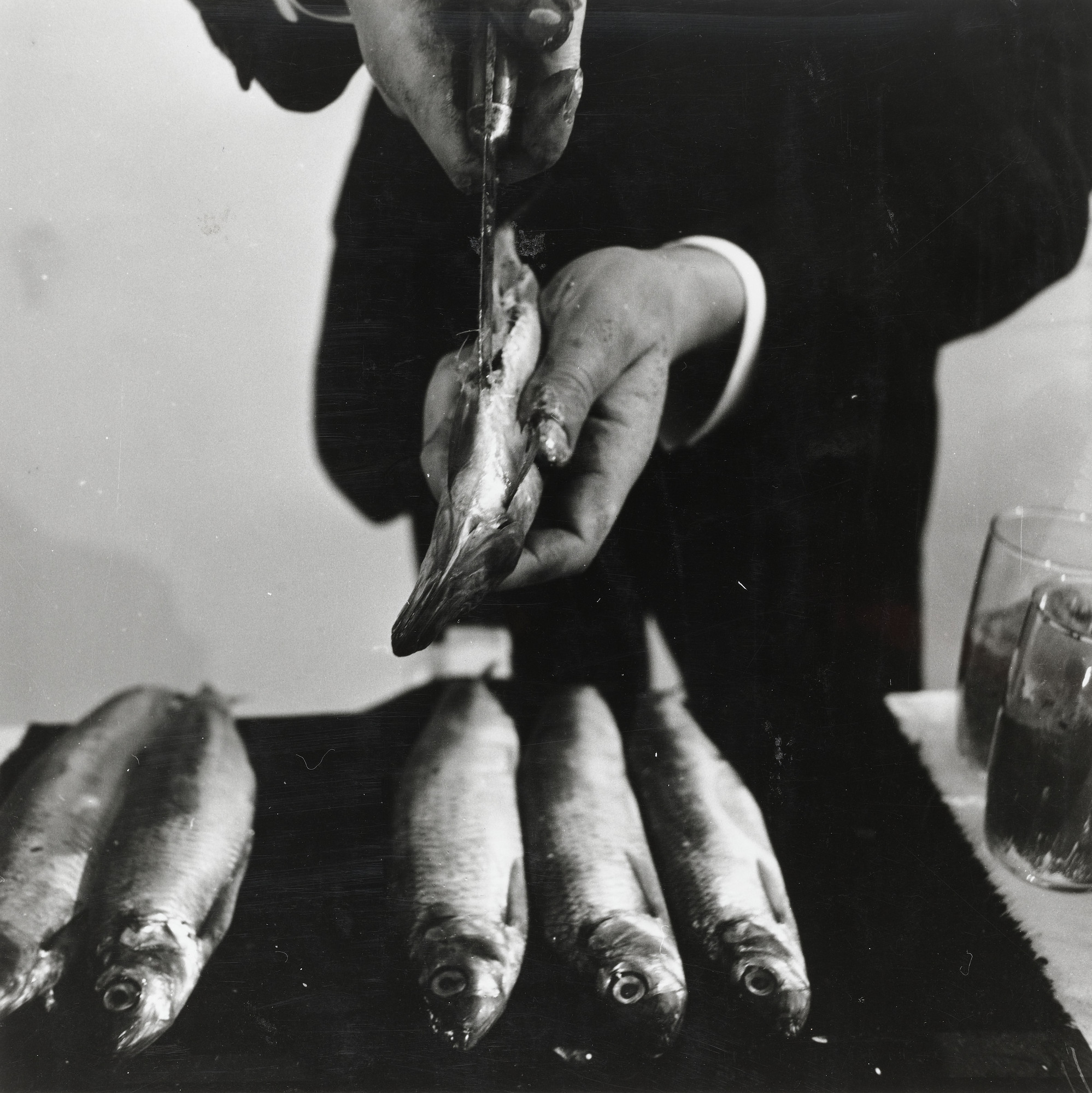 Rudolf Schwarzkogler, Ludwig Hoffenreich, Walter Kindler. 1st Action ...