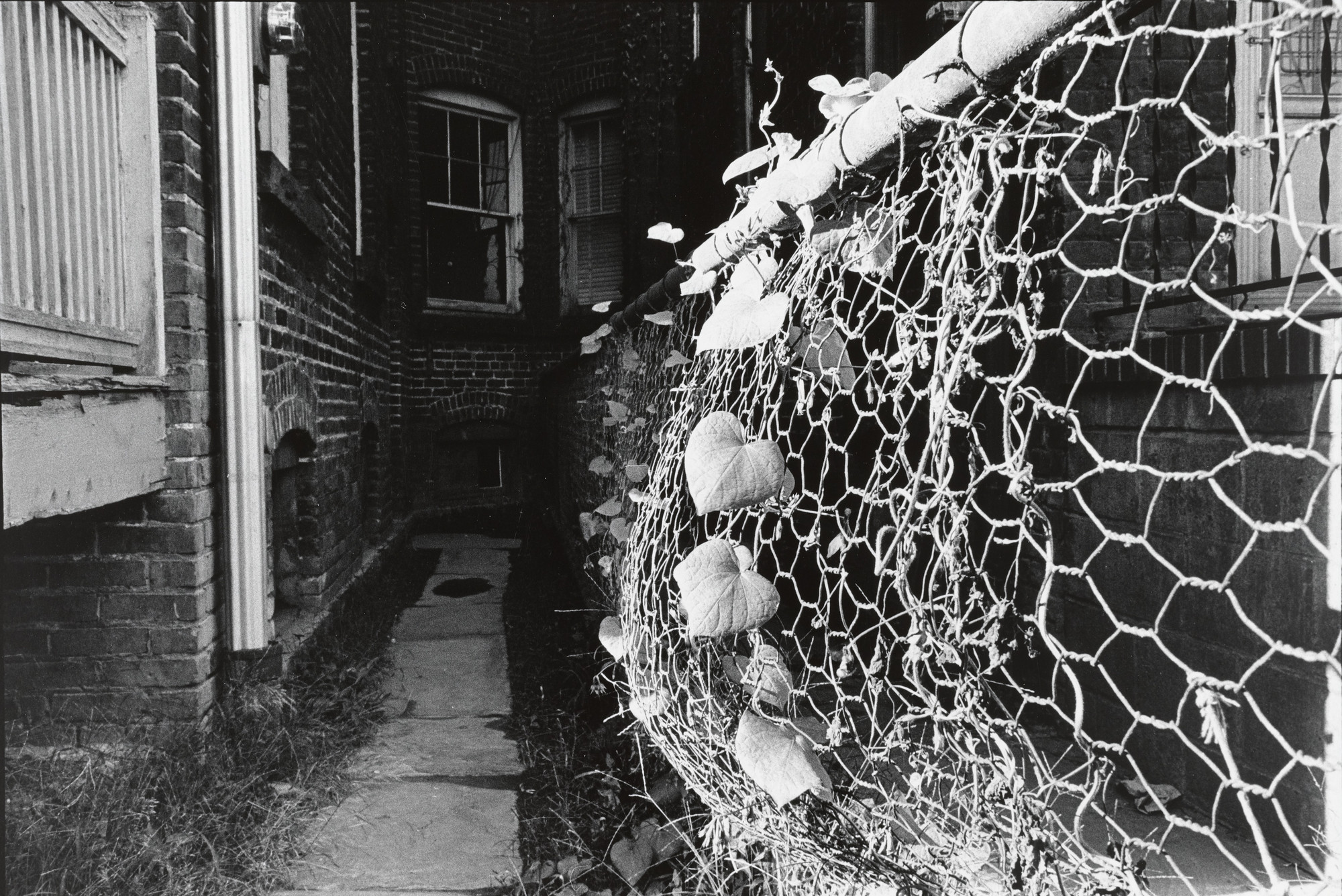 Mark Cohen Street Photographer