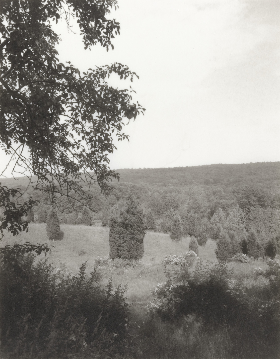 Jan Groover. Plain Fields. 1981 | MoMA