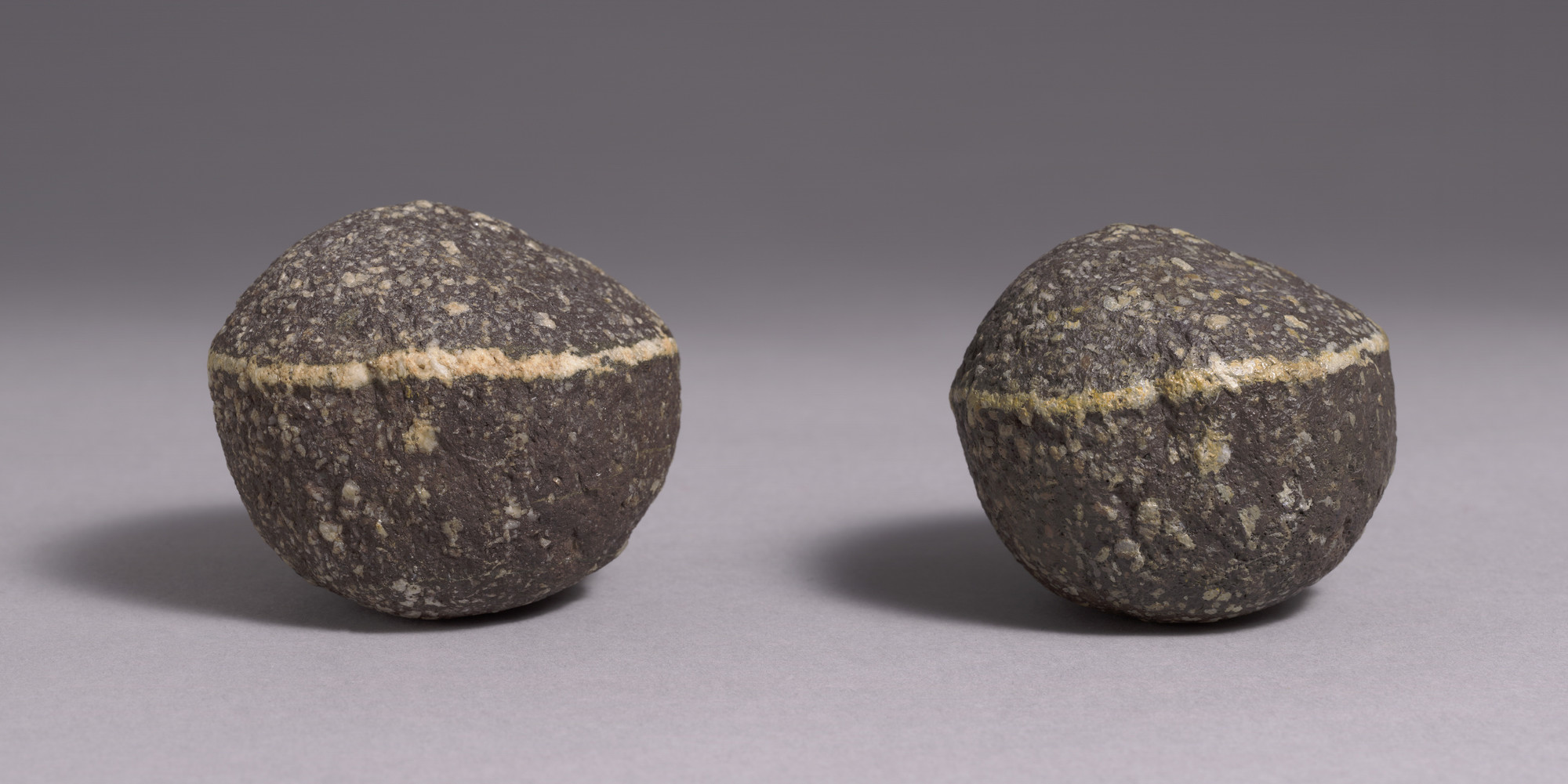 Vija Celmins. To Fix the Image in Memory. 1977-82 | MoMA