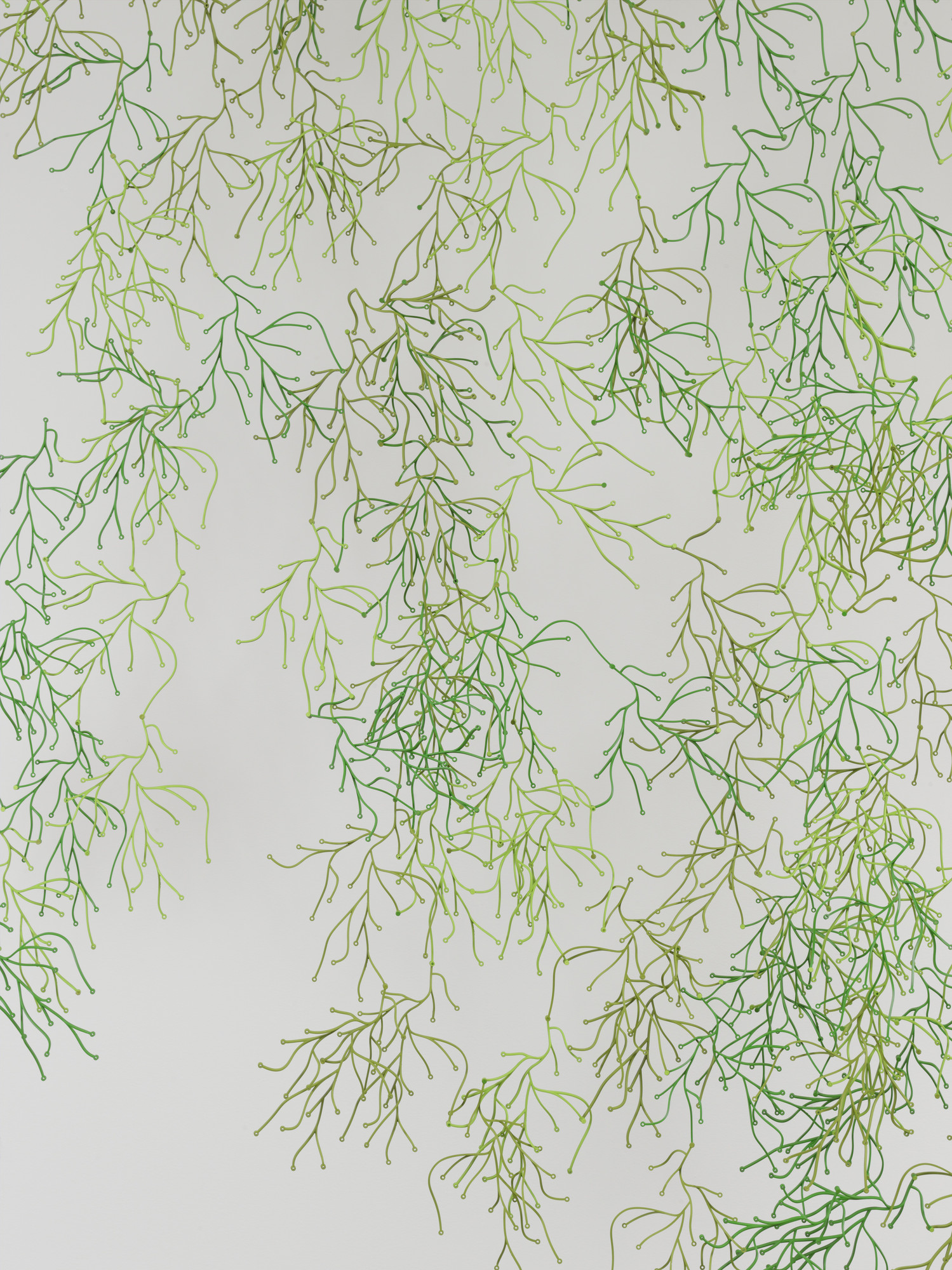 Ronan Bouroullec, Erwan Bouroullec. Algues (Algae) Screen. 2004 | MoMA