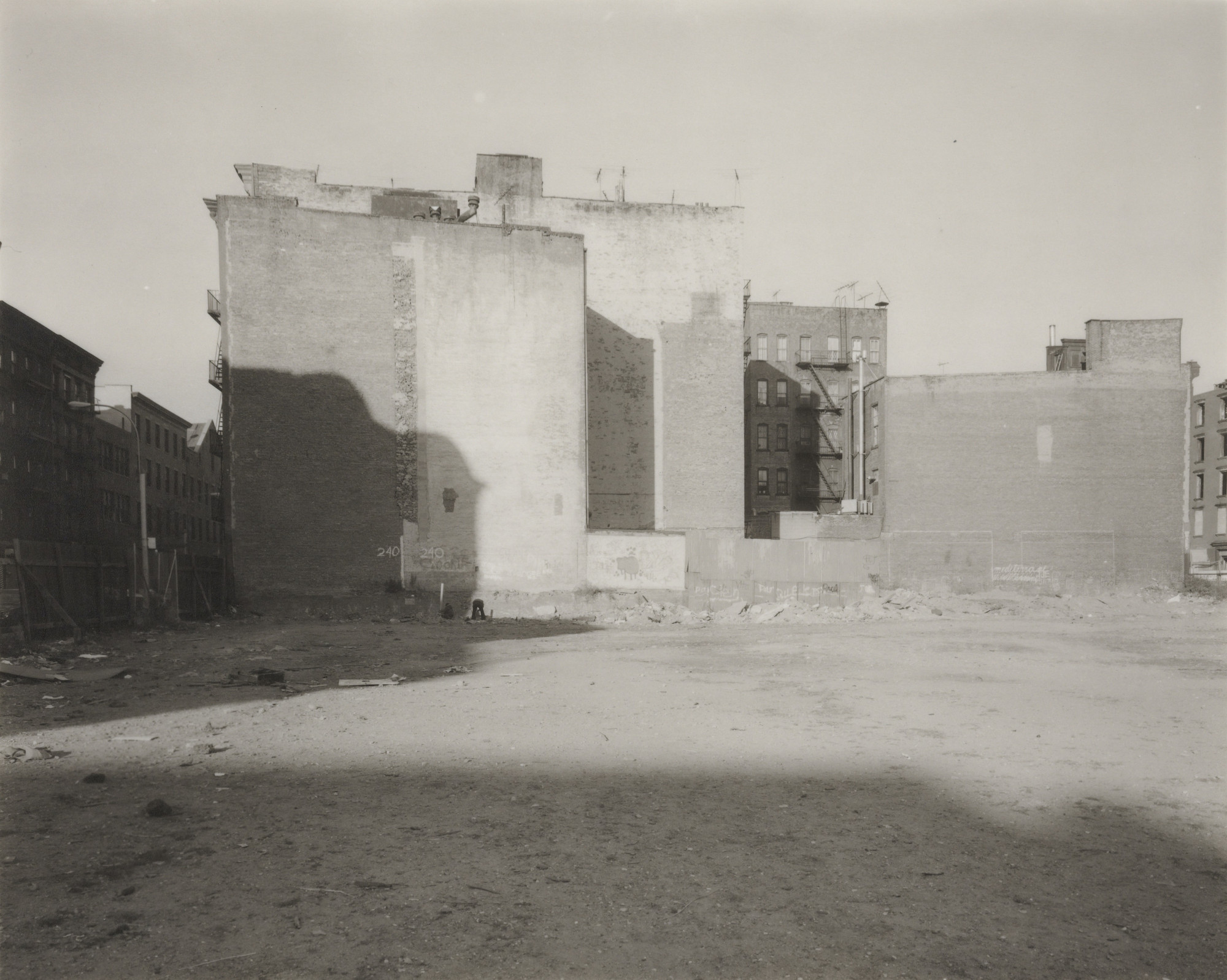 Jan Groover. Untitled. 1981 | MoMA