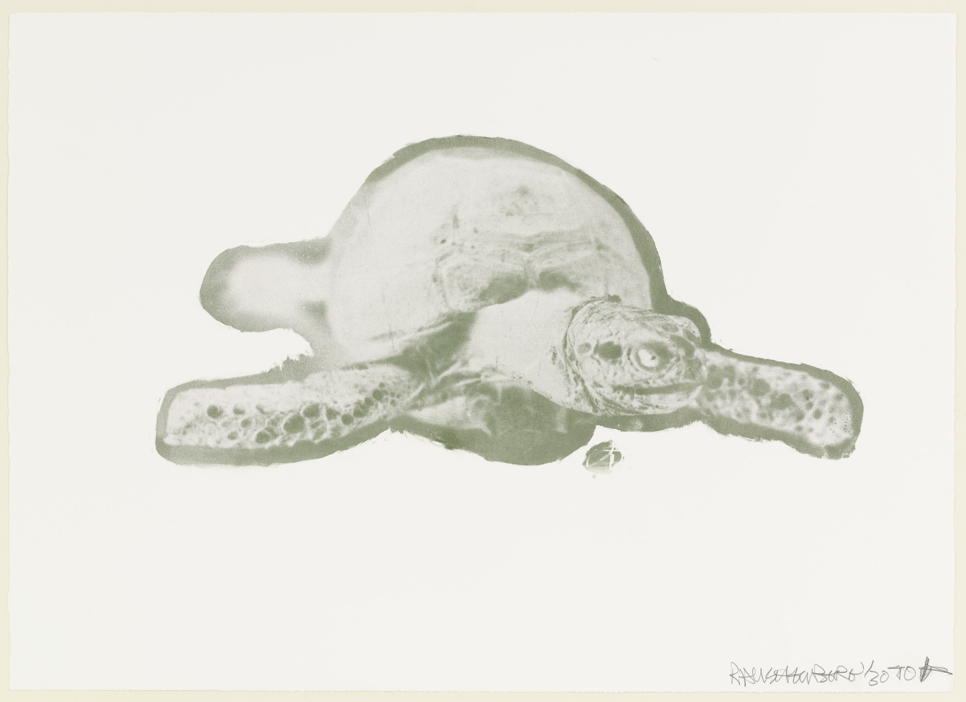 Robert Rauschenberg. Unit (Turtle). 1970 | MoMA