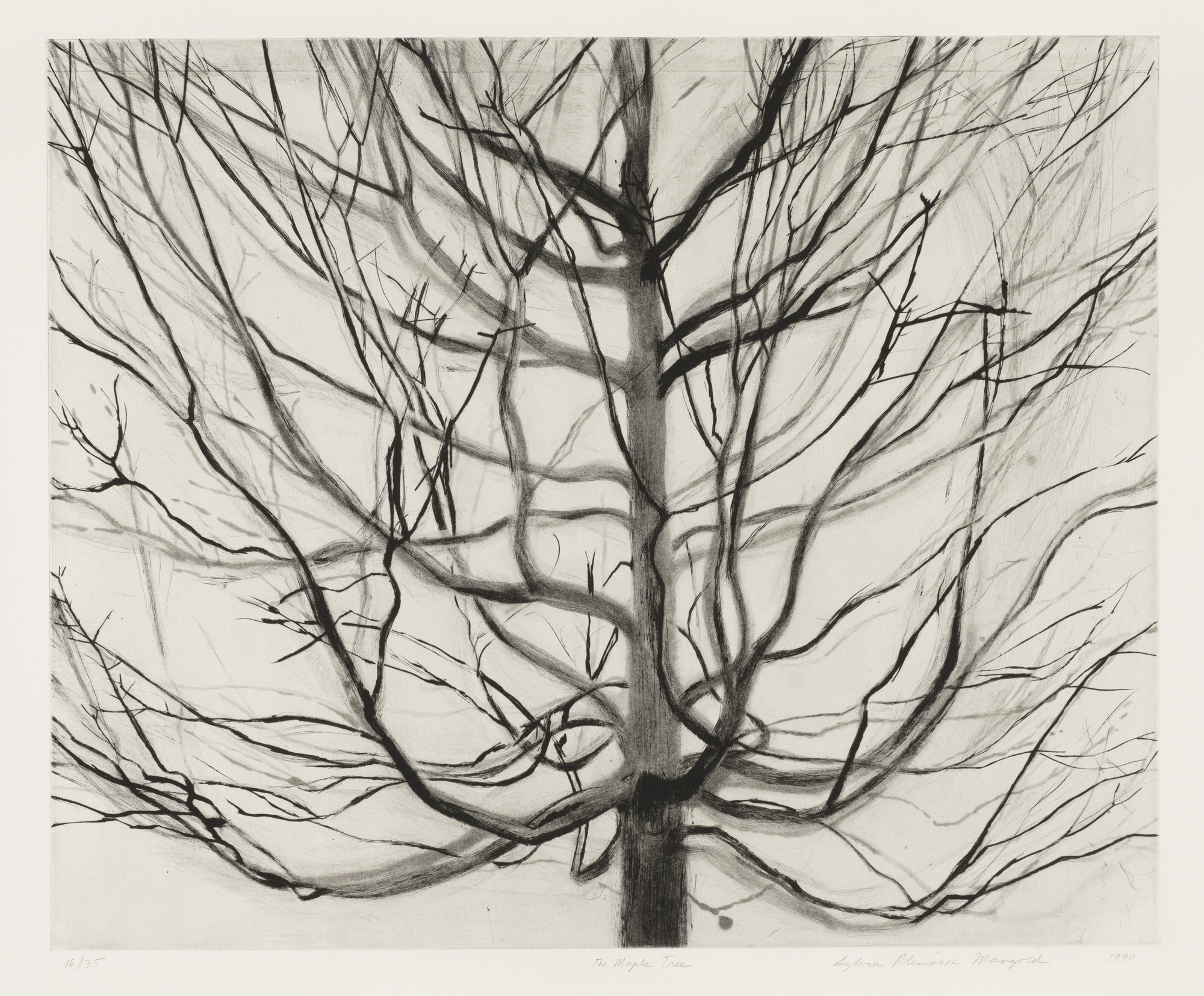 Sylvia Plimack Mangold. The Maple Tree. 1990 | MoMA