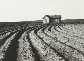 Dorothea Lange | MoMA