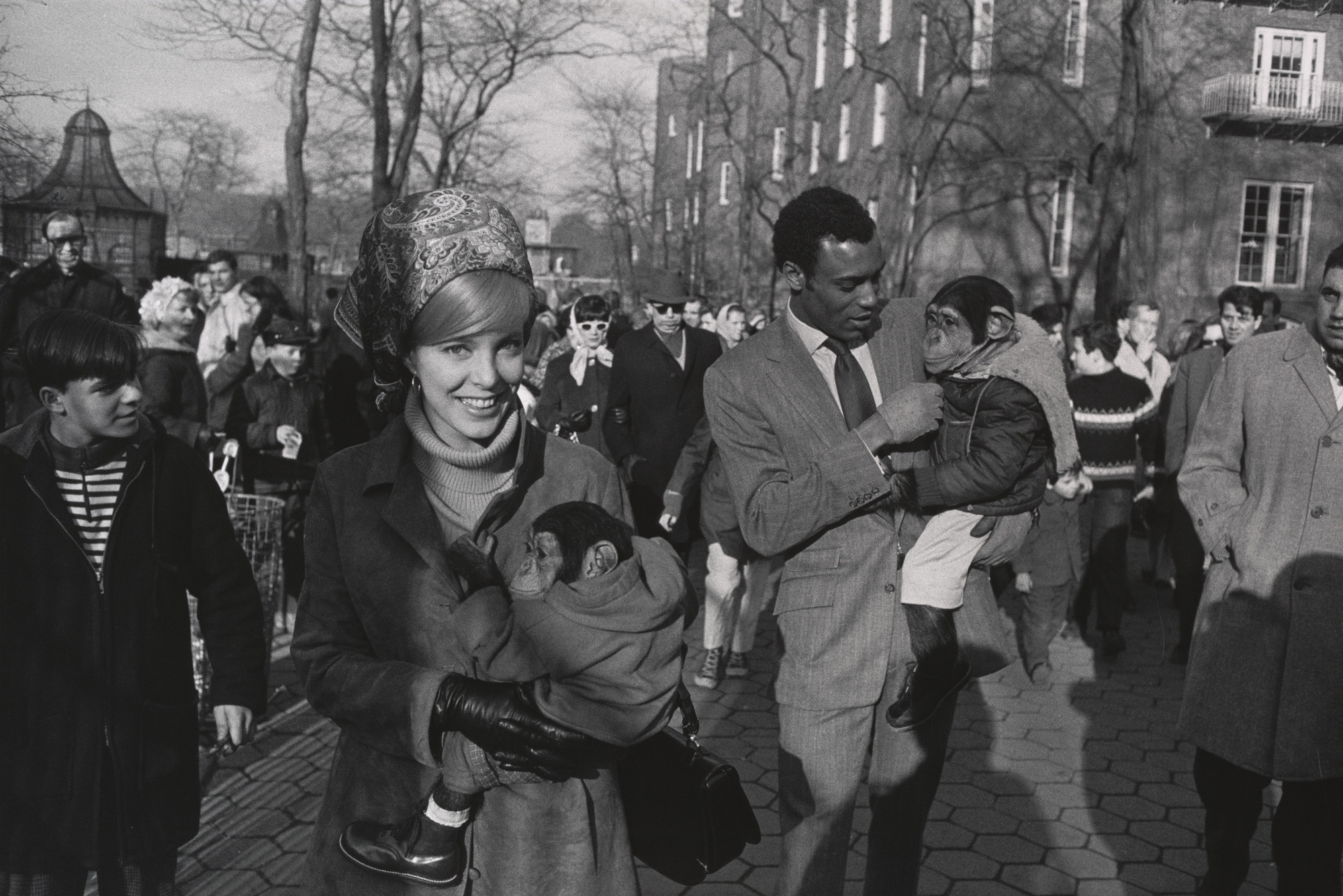 Garry Winogrand. Central Park Zoo, New York. 1967 | MoMA