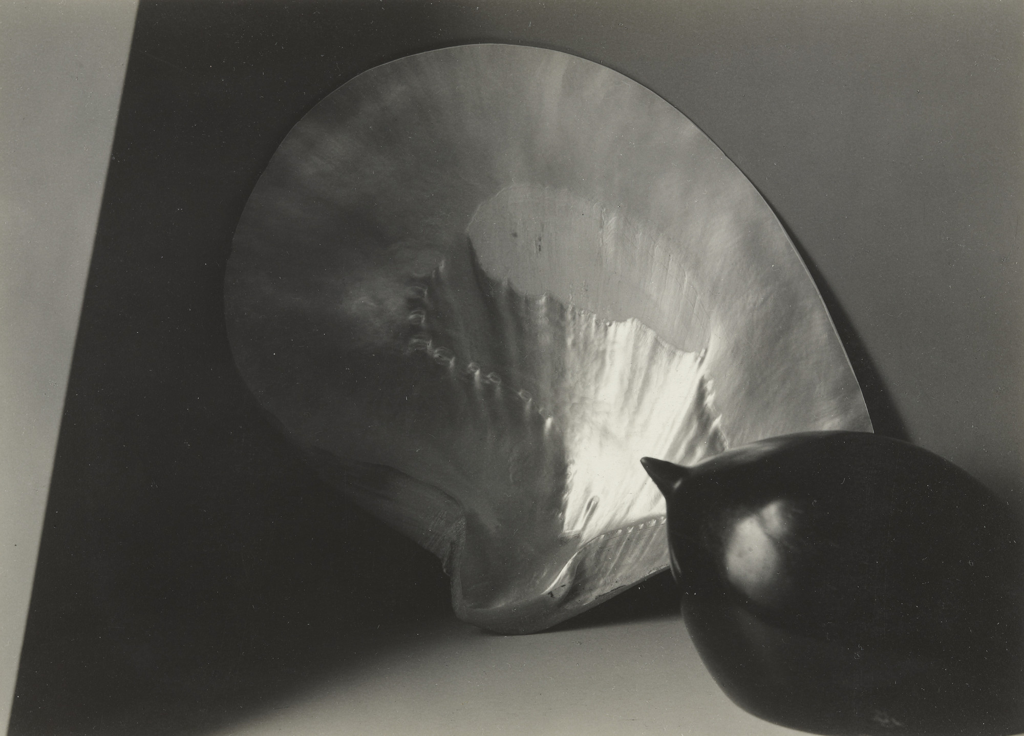 Kurt W. Baasch. Shell. c. 1930 | MoMA