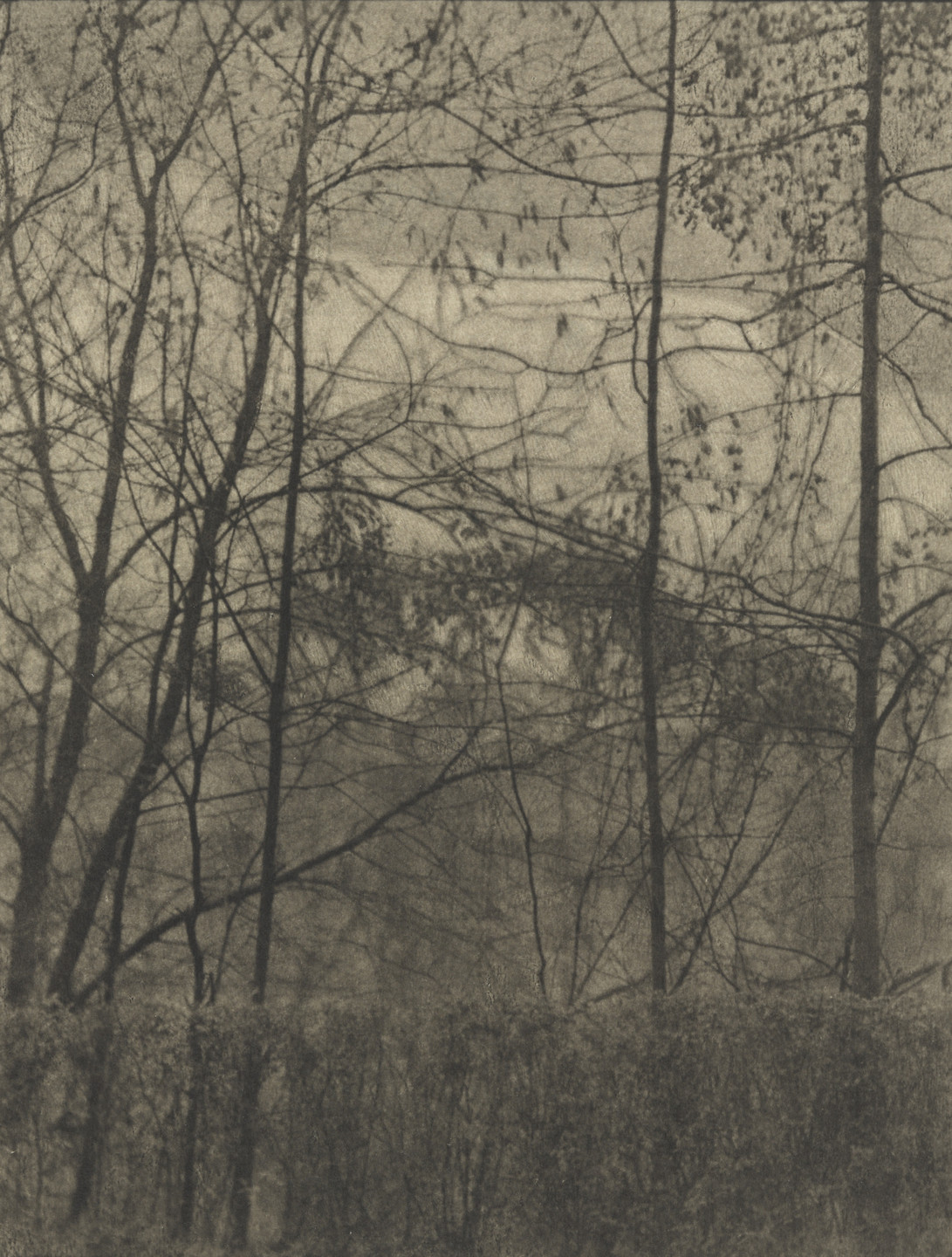 Paul L. Anderson. Autumn Pattern. 1943 | MoMA