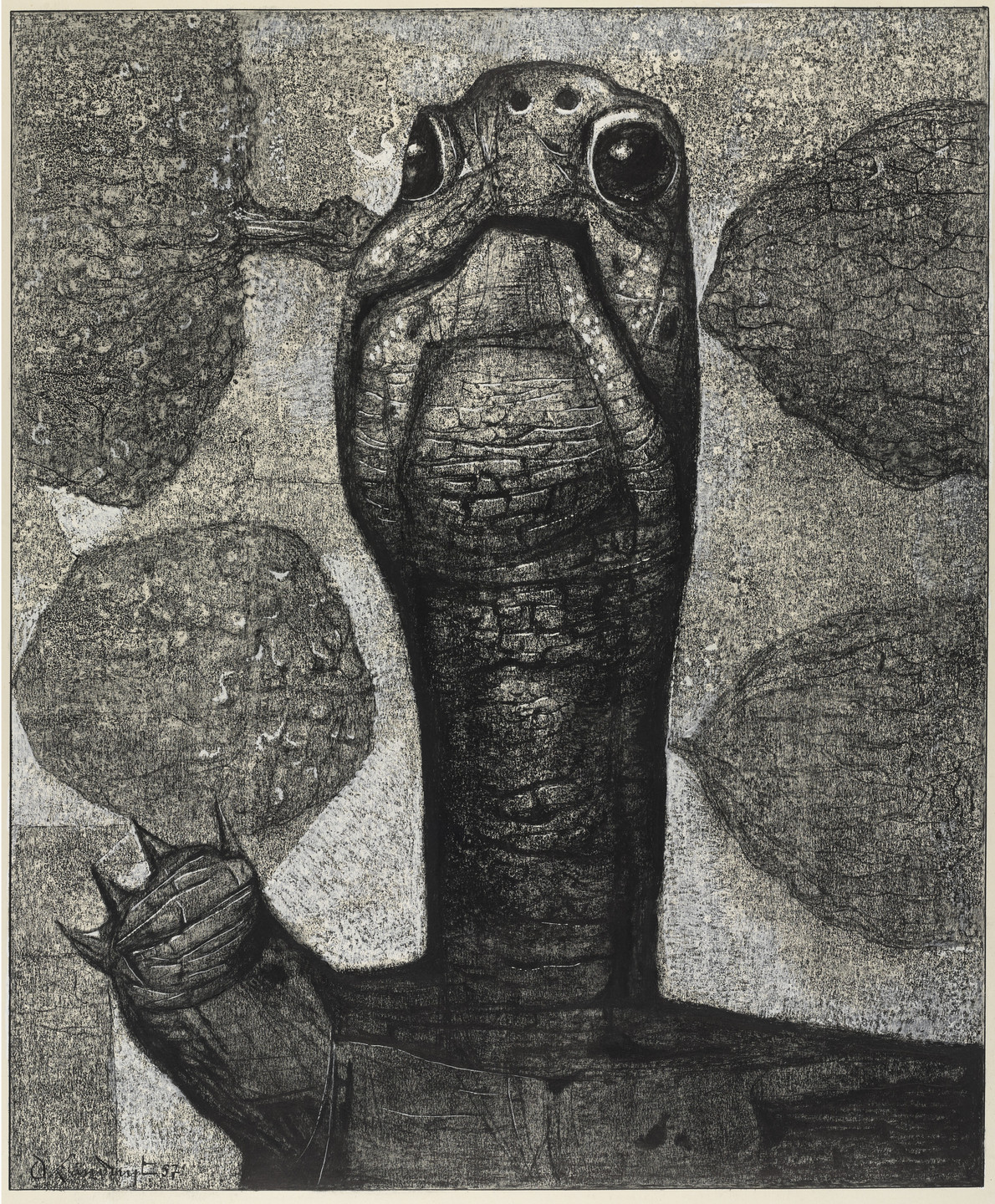Octave Landuyt. Turtle. 1957 | MoMA