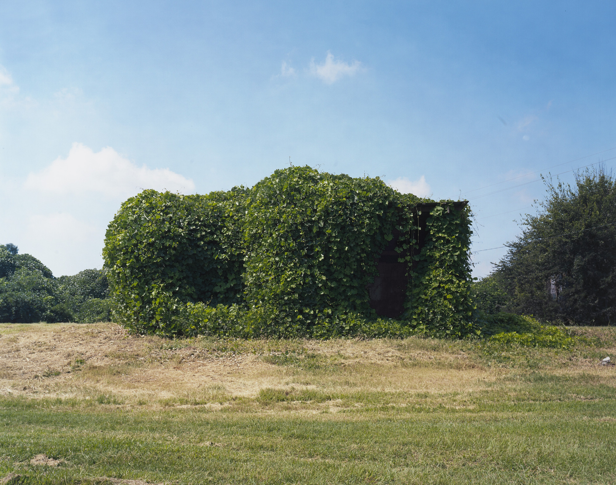 William Christenberry. Kudzu Devouring Building, near Greensboro ...