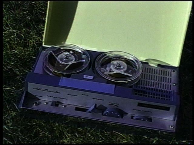 Steve Reinke. Love Among Corpses from The Hundred Videos. 1995 | MoMA