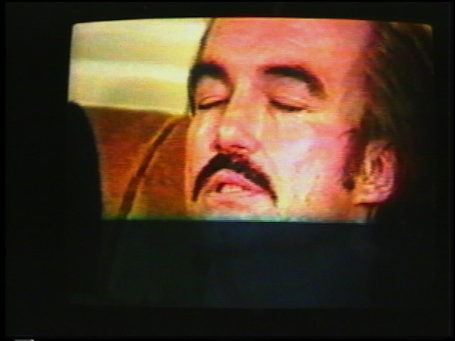 Steve Reinke. Notes on the Uncanny from The Hundred Videos. 1996 | MoMA