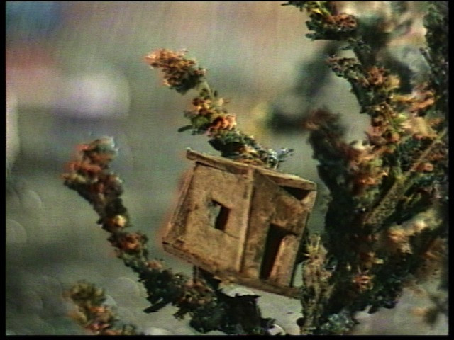 Steve Reinke. Treehouse. 1995 | MoMA