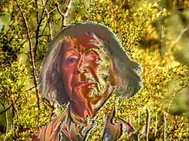 Steina, Doris Cross. Lilith. 1987 | MoMA