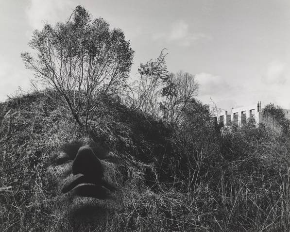 Jerry Uelsmann | MoMA