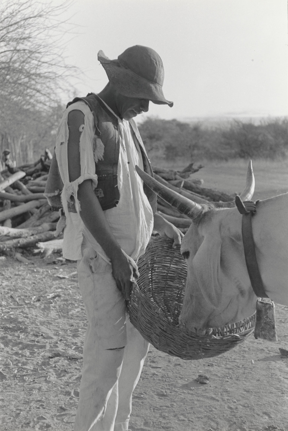 David Vestal. Vaqueiro, Xique-Xique, Sertao da Bahia, Brazil. 1961 | MoMA