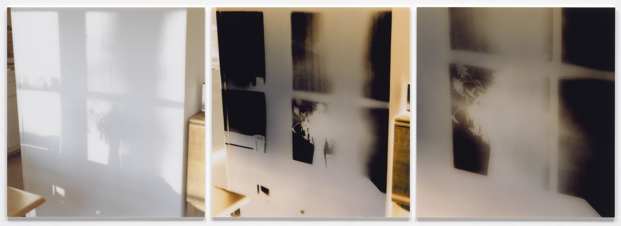 Uta Barth. Sundial (2007.13). 2007 | MoMA