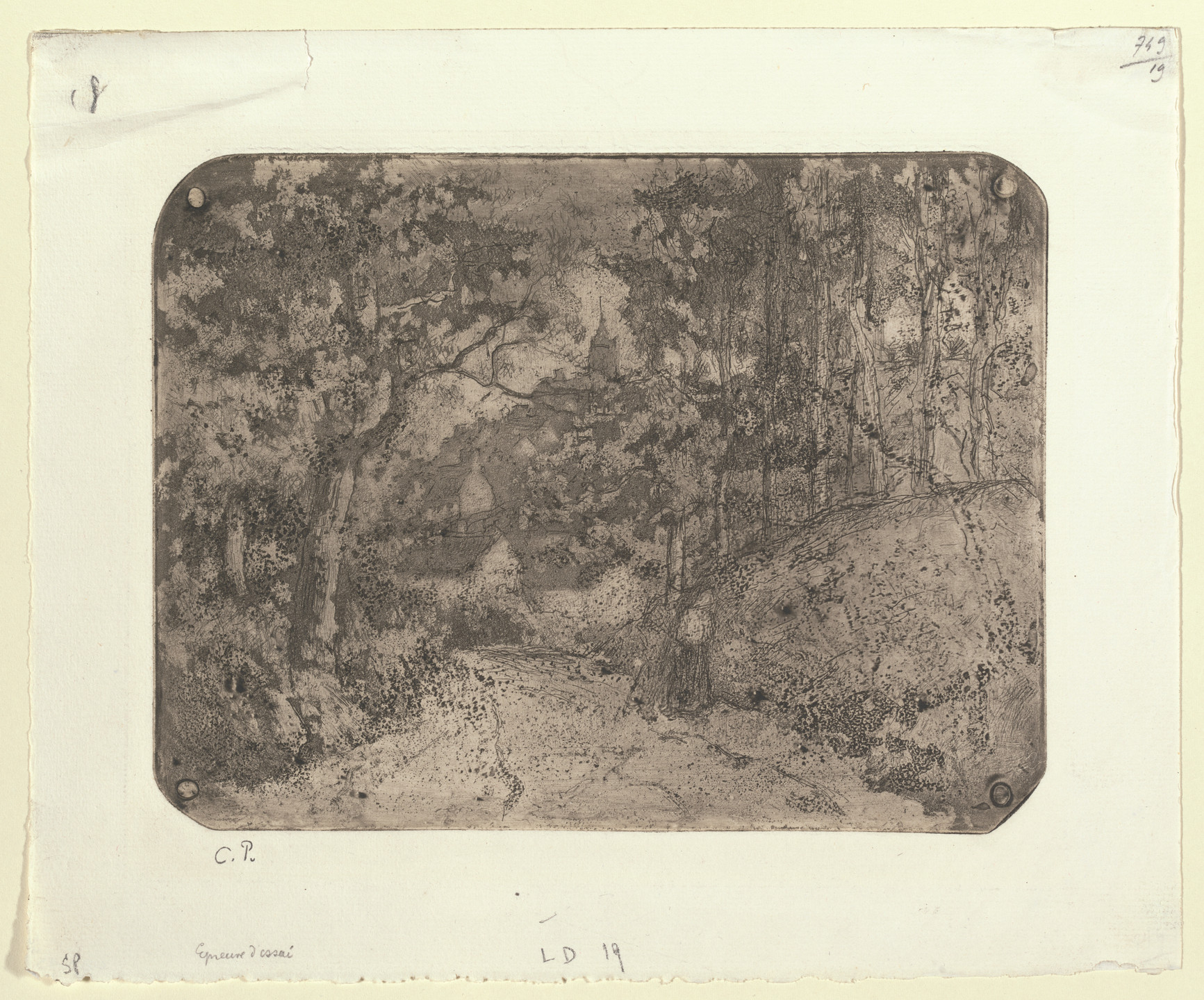 Camille Pissarro. Path through the Woods at Pontoise. 1879 | MoMA