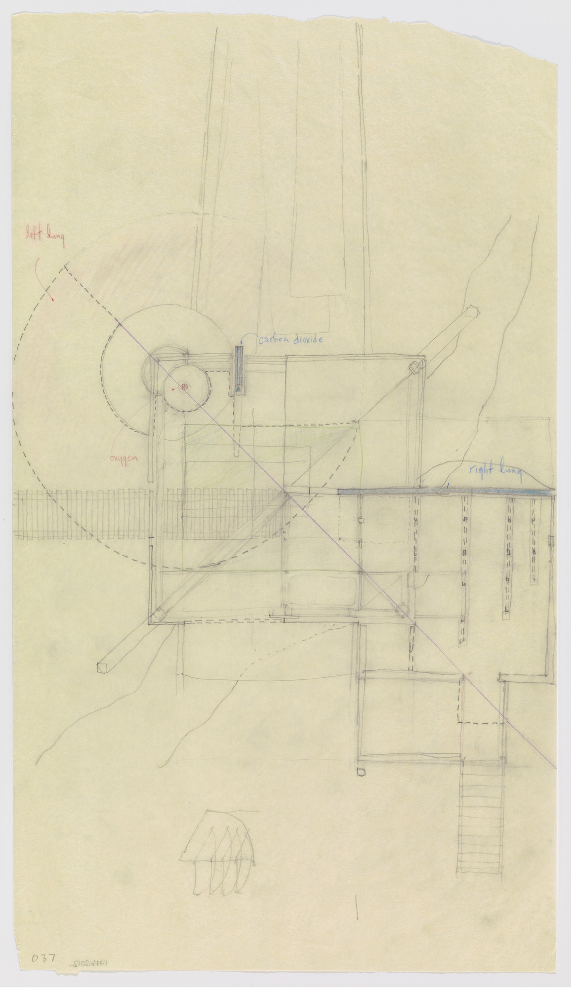 Douglas Darden. Oxygen House Project (Plan). 1988 | MoMA