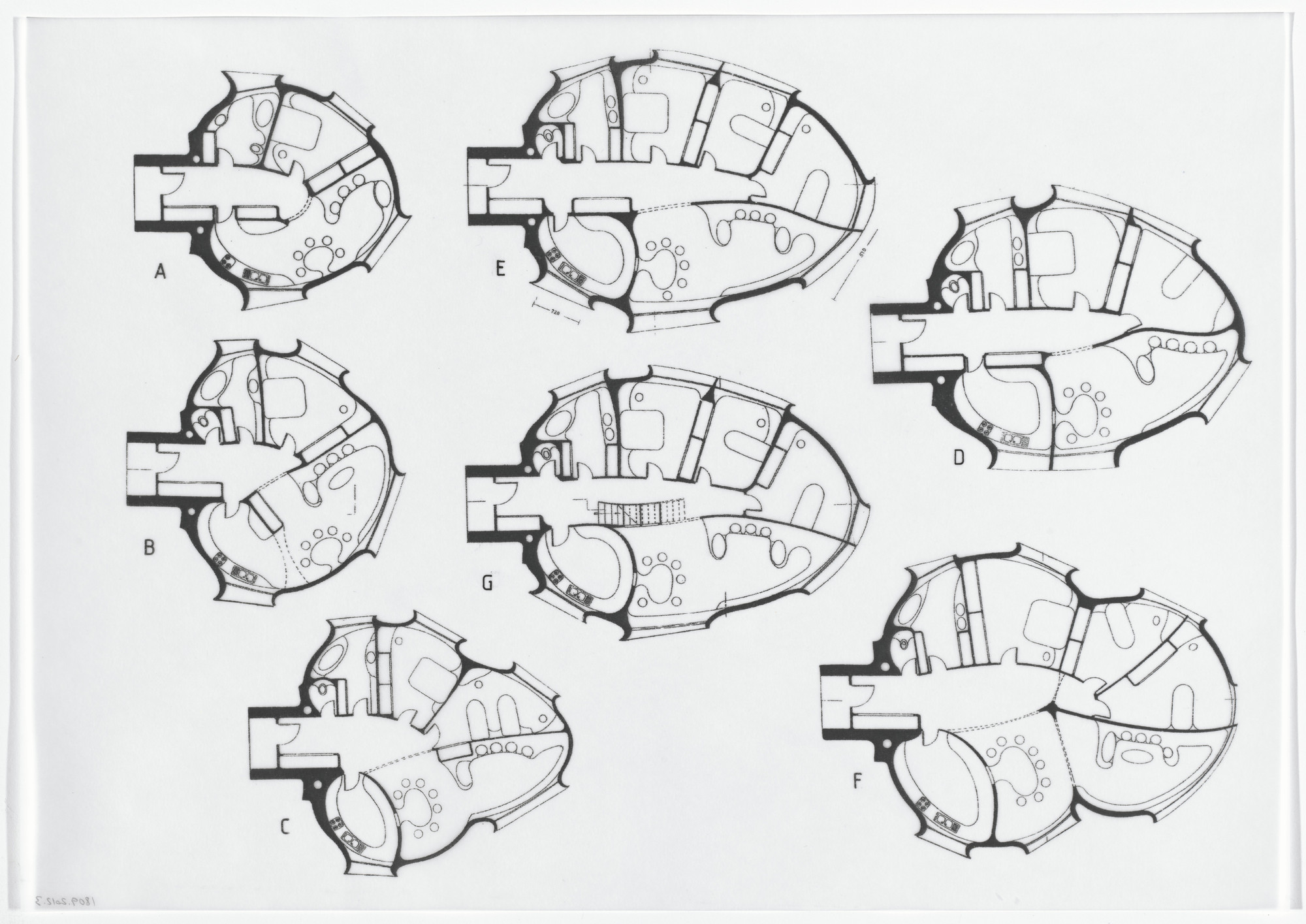 Organic Architecture Floor Plans