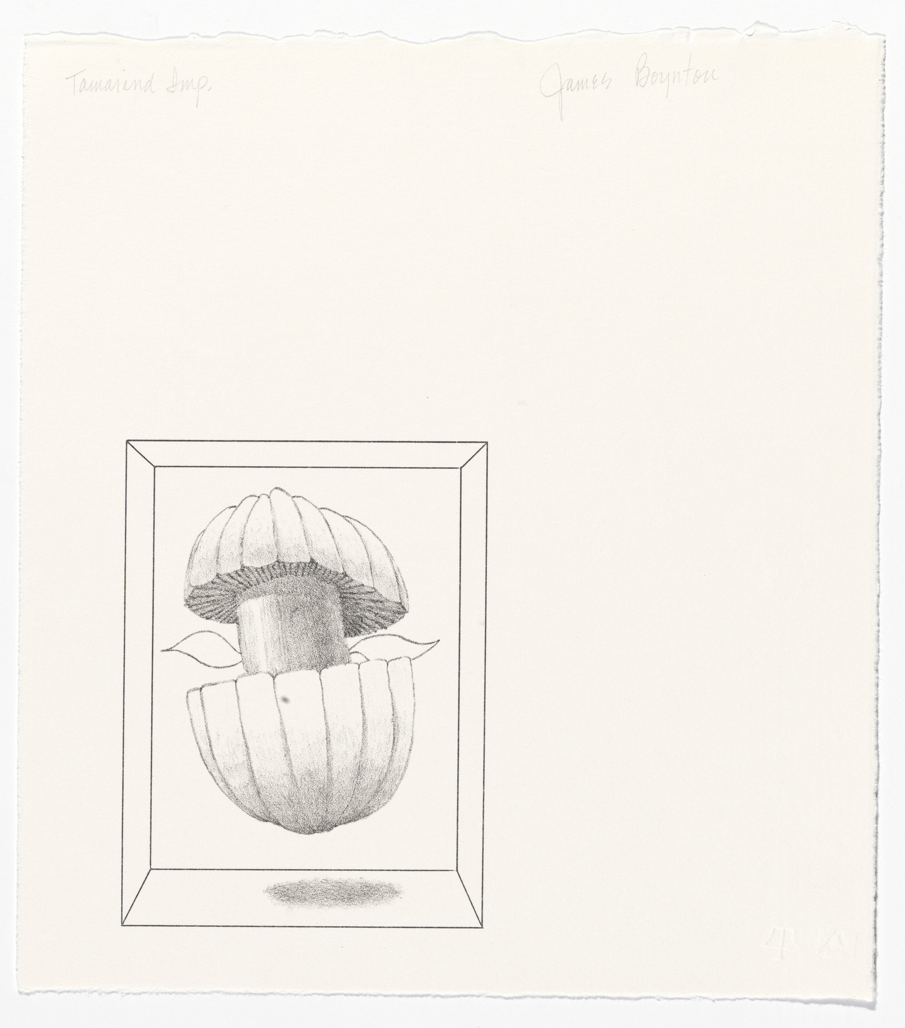 James Boynton. Untitled. 1967 | MoMA