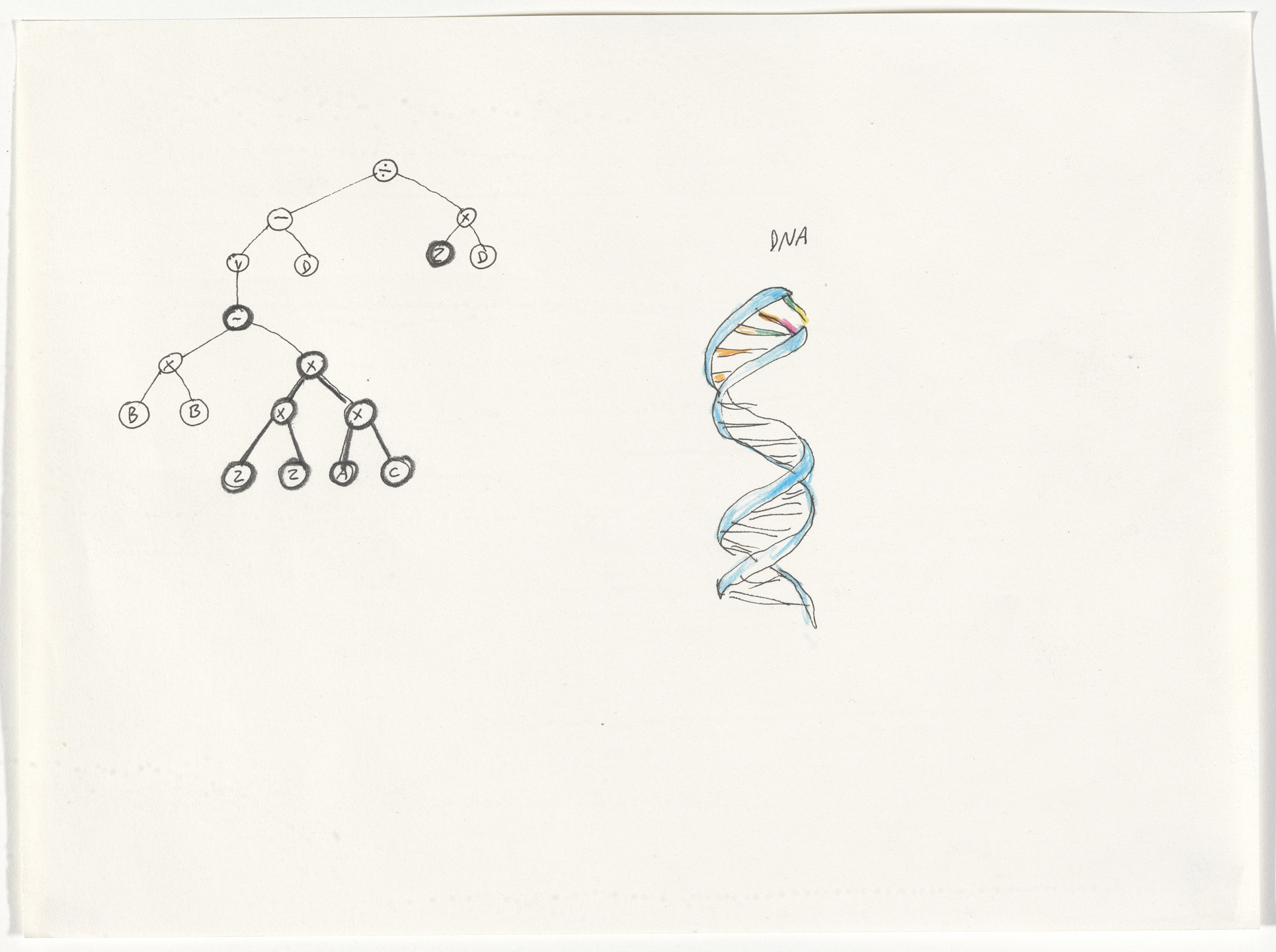 Carlos Bunga. Drawings Metamorphosis. 2010 | MoMA