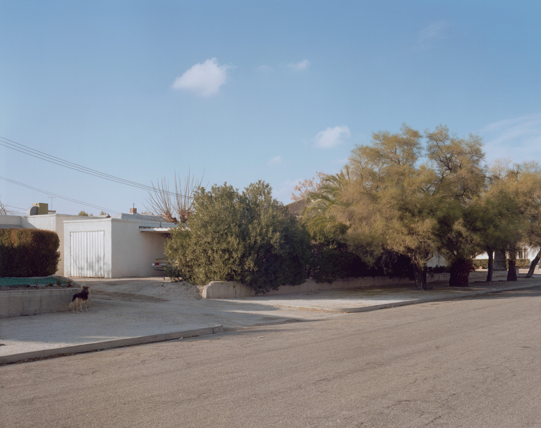 Stephen Shore. 2nd Avenue, Tucson, Arizona, December 19, 1976. 1976 | MoMA