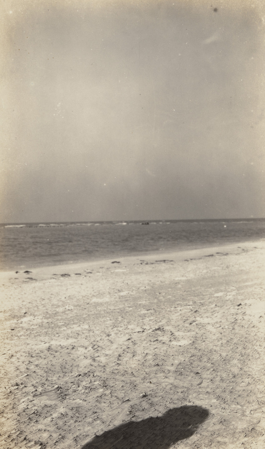 Unidentified photographer. Untitled. | MoMA