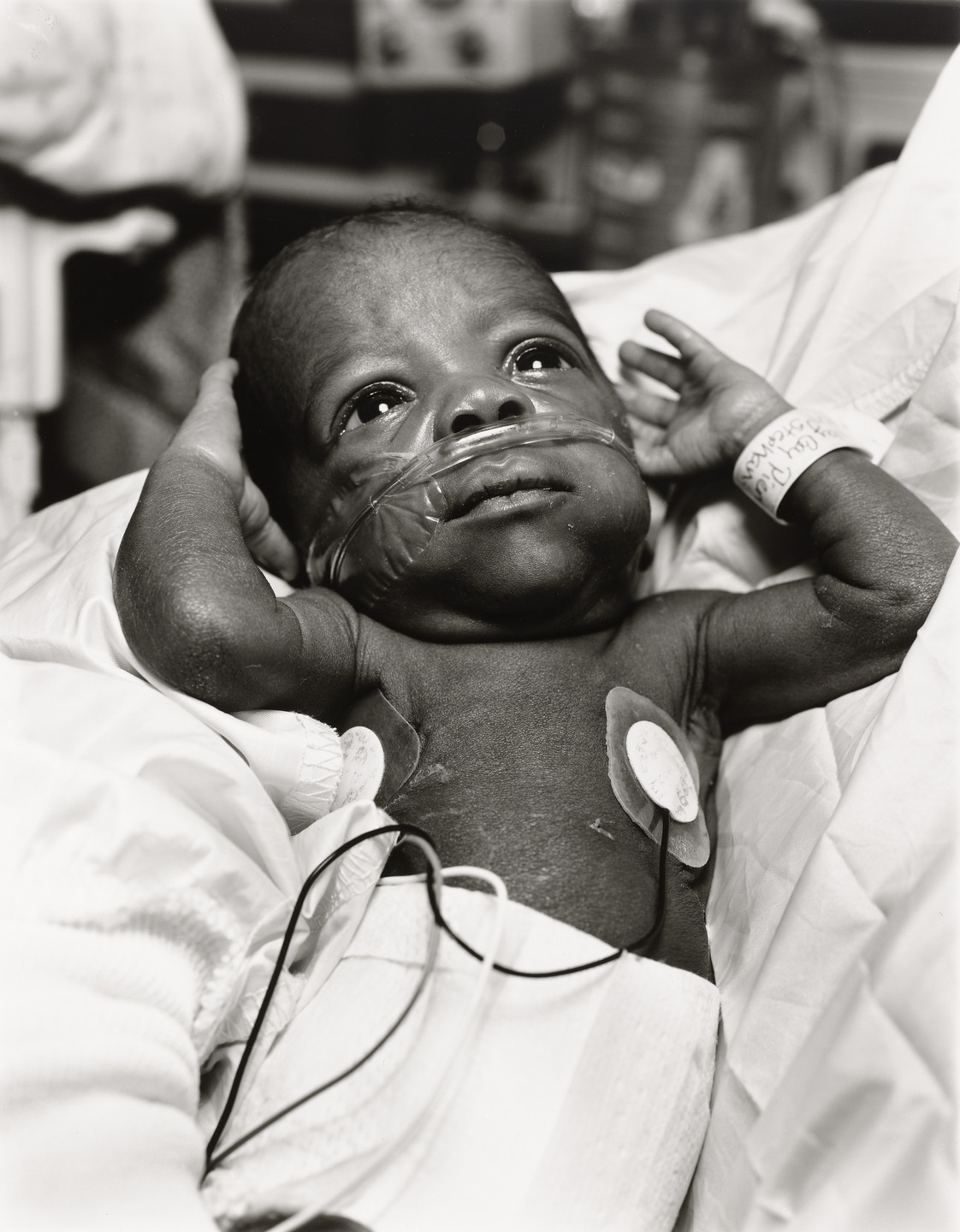 Nicholas Nixon. Aja Gennis, Boston. 2007 | MoMA
