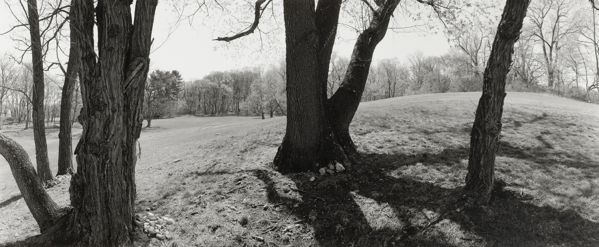 Geoffrey James. Untitled, Long Island. 2005 | MoMA